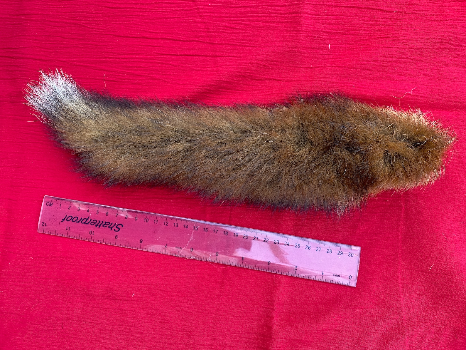 A Red Fox Tail or Brush - Etsy