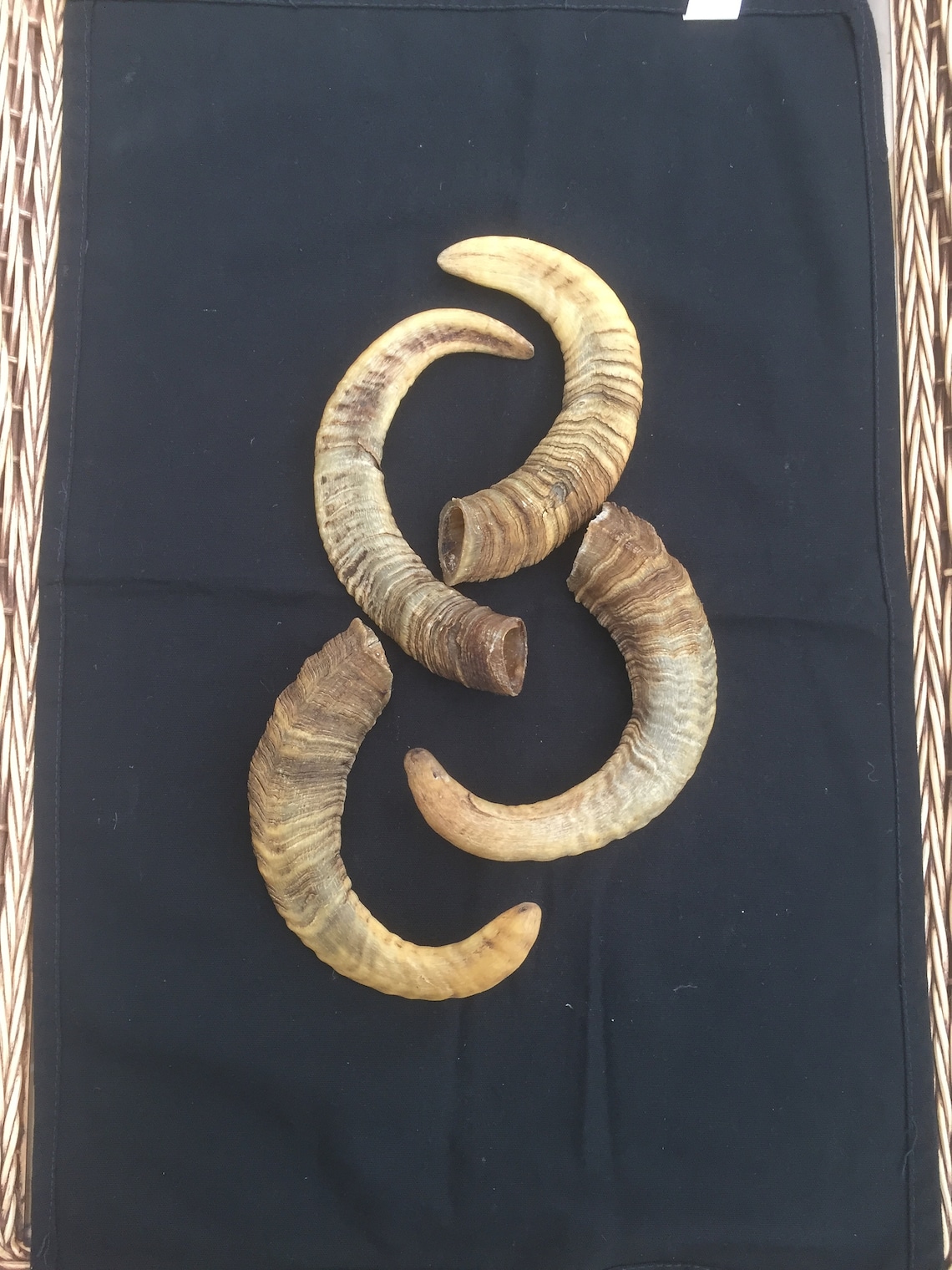 4 X Real Ram Horns | Etsy UK