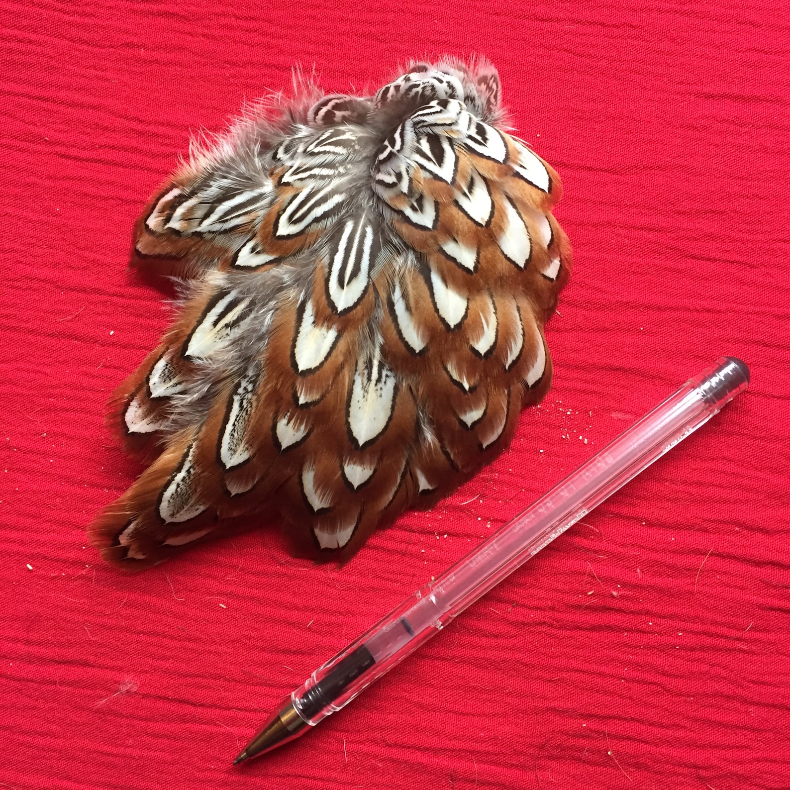 Five Pheasant Feather Patches for Art and Craft Work - Etsy UK