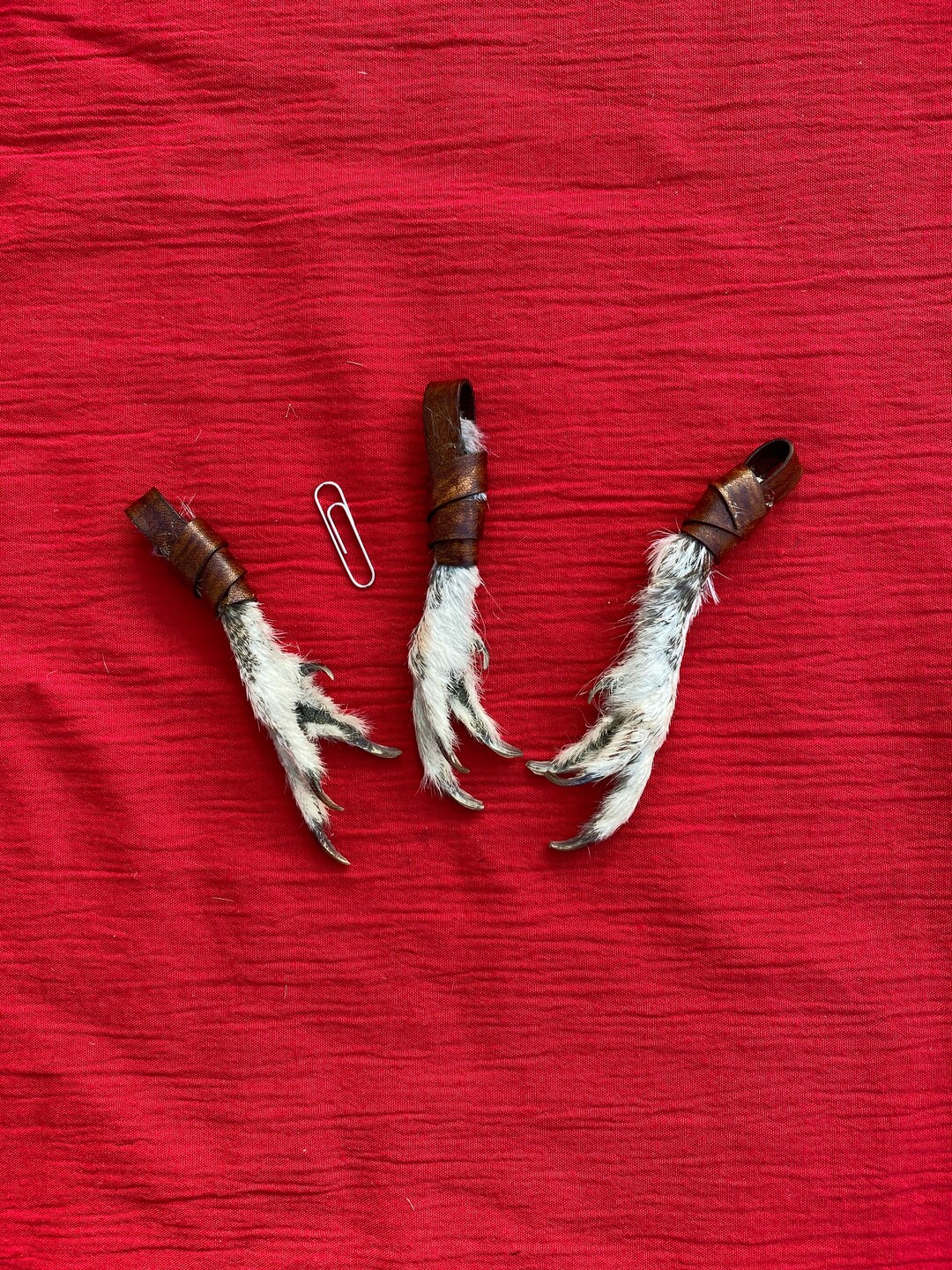 A Scottish Red Grouse Foot Necklace or Key Fob - Etsy