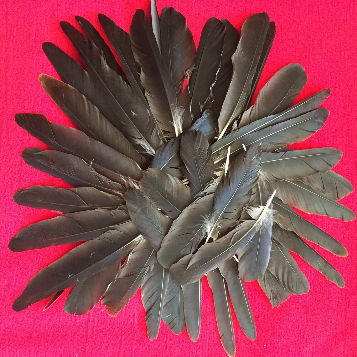50 Assorted English Carrion Crow Wing Feathers - Etsy UK