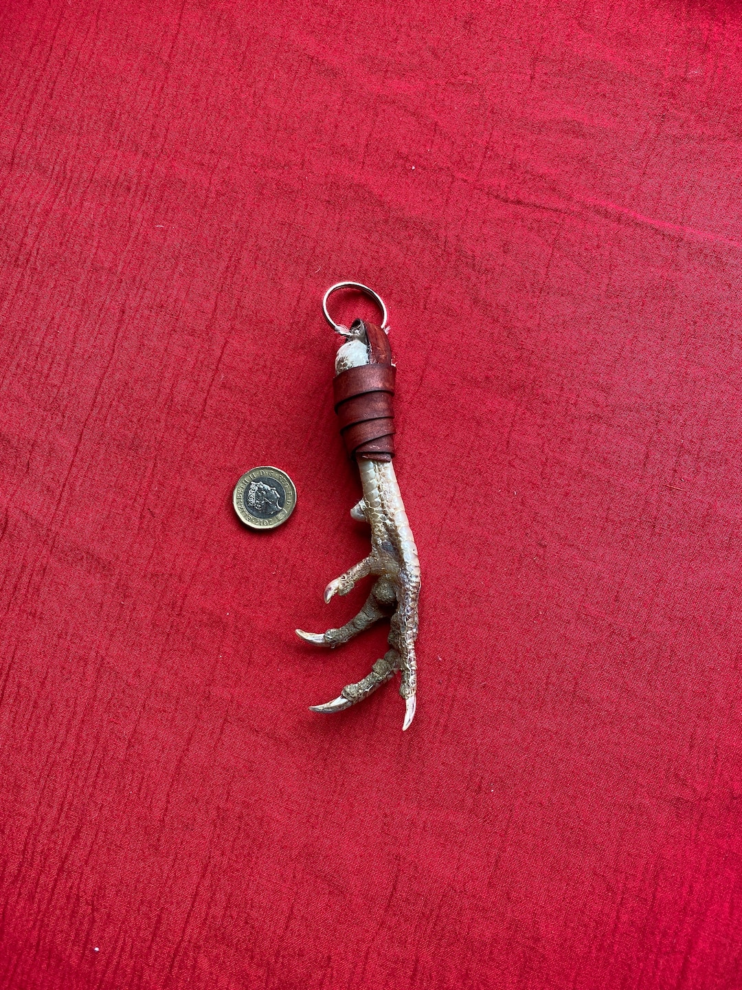 Chicken Foot Key Ring Rooster Spurs Game Fowl Rooster - Etsy