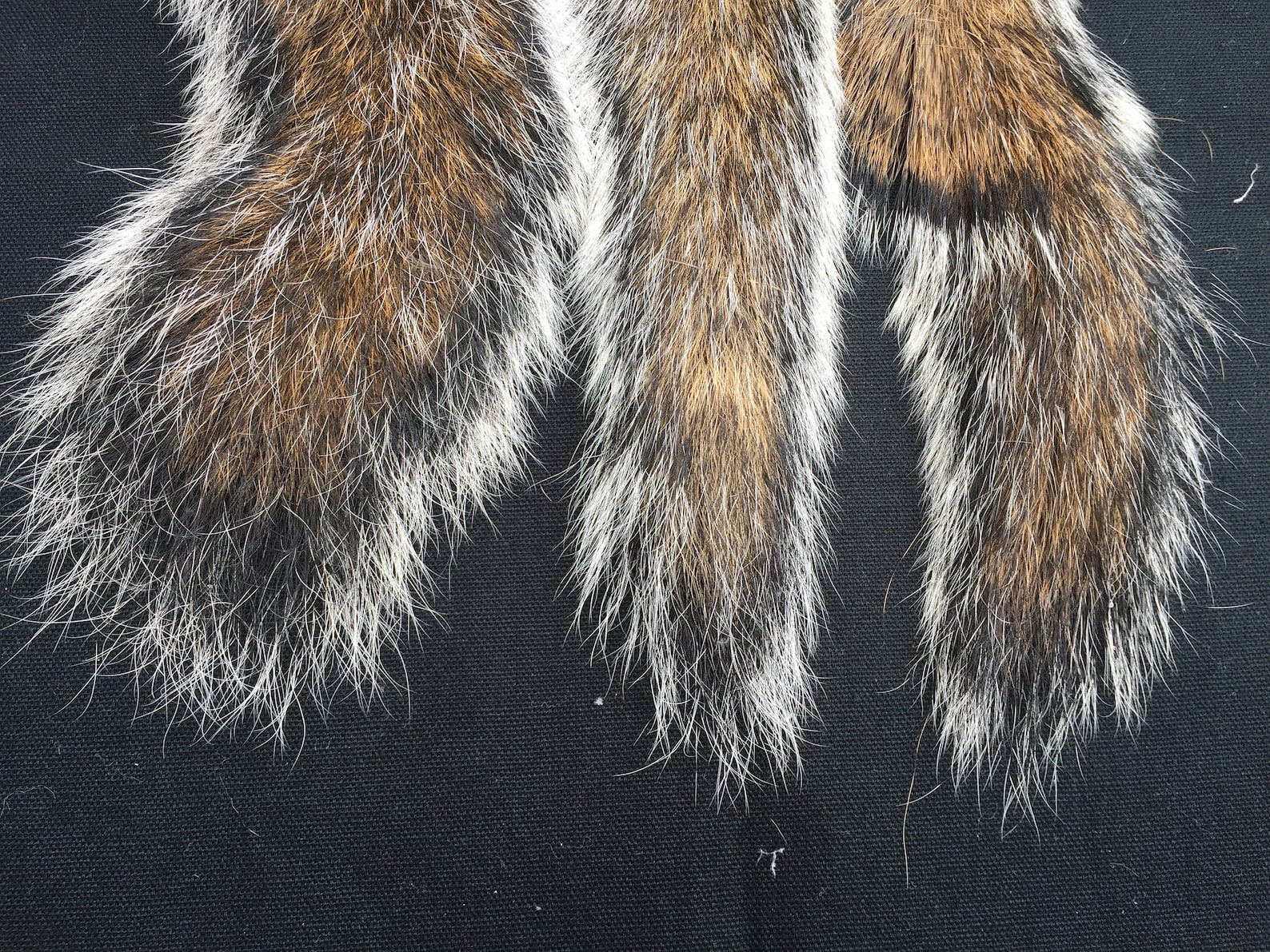 Three Squirrel Tails for Crafting - Etsy