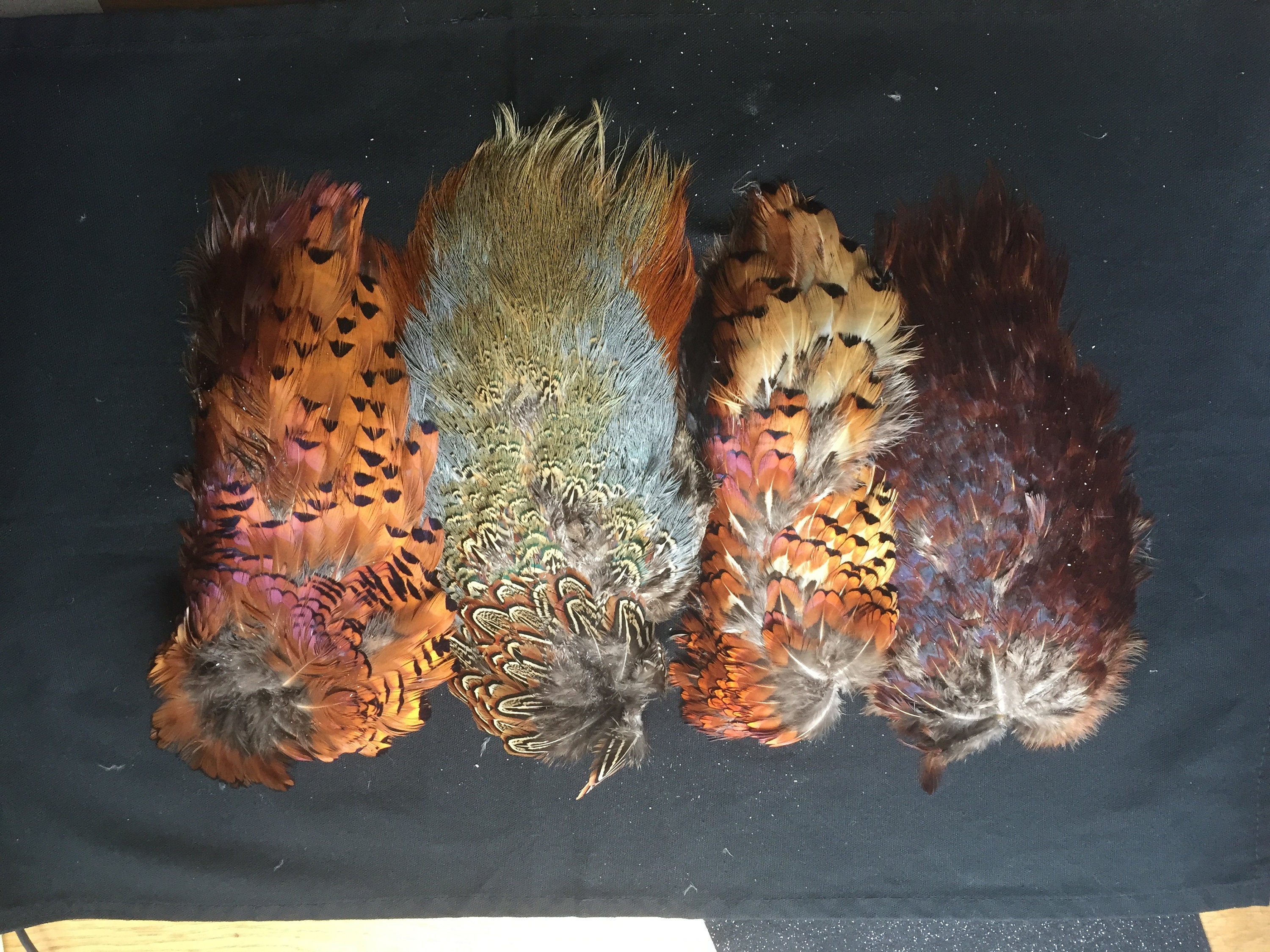 Four Dried Pheasant Feather Skins for Crafting - Etsy