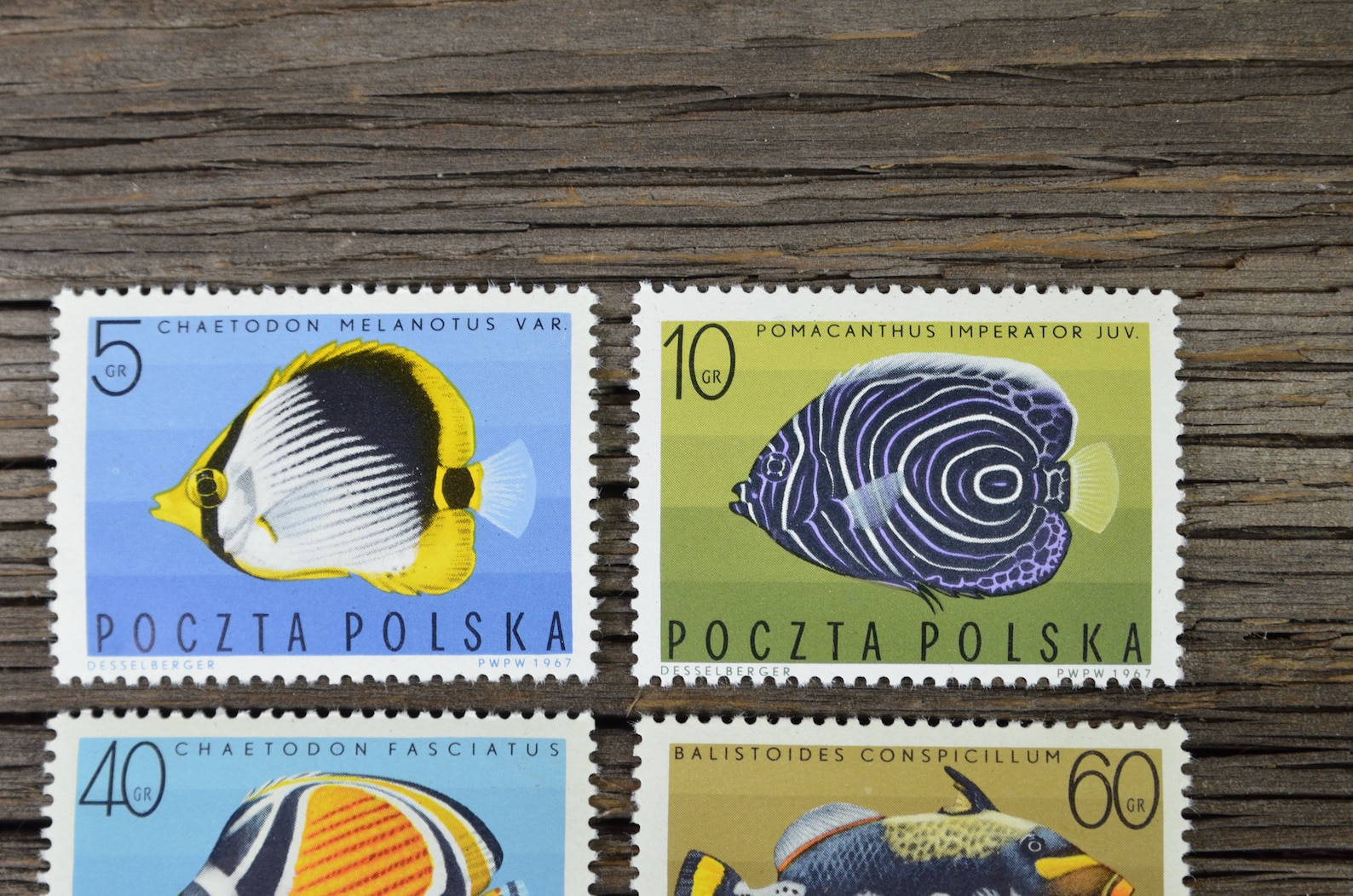 4 Tropical Fish Postage Stamps / UNUSED Vintage Polish Stamps/ From ...