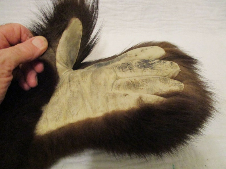 Antique Grizzly Bear Fur Corduroy Lined Gauntlet Gloves C. - Etsy