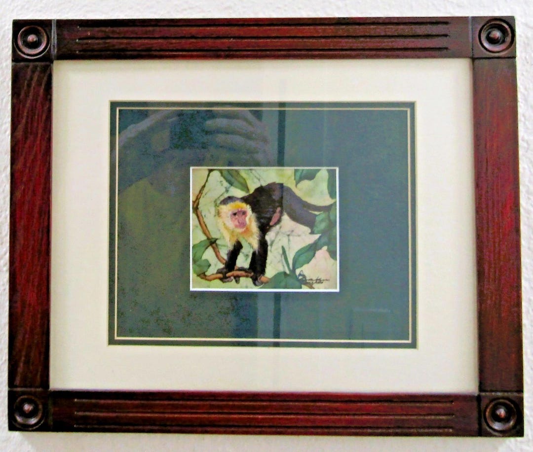 Jodi Jacobson White-faced Capuchin Monkey Print Matted and Framed - Etsy