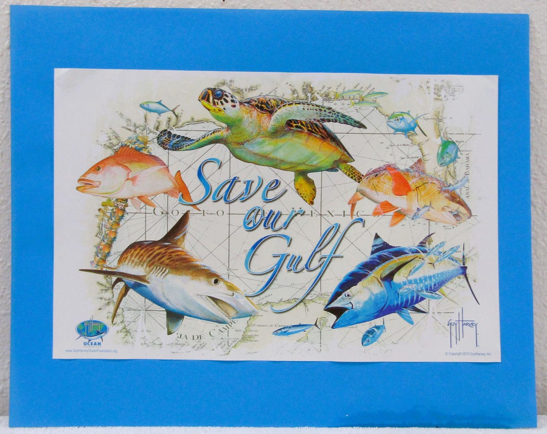Guy Harvey Save Our Gulf Poster: Ocean Foundation Art (17x11) - Etsy