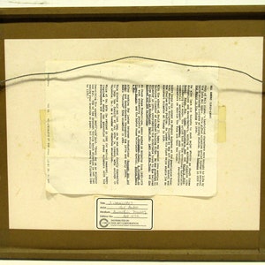 Vintage the Three Caballeros Animation Rough Drawing by Hal Ambro - Etsy