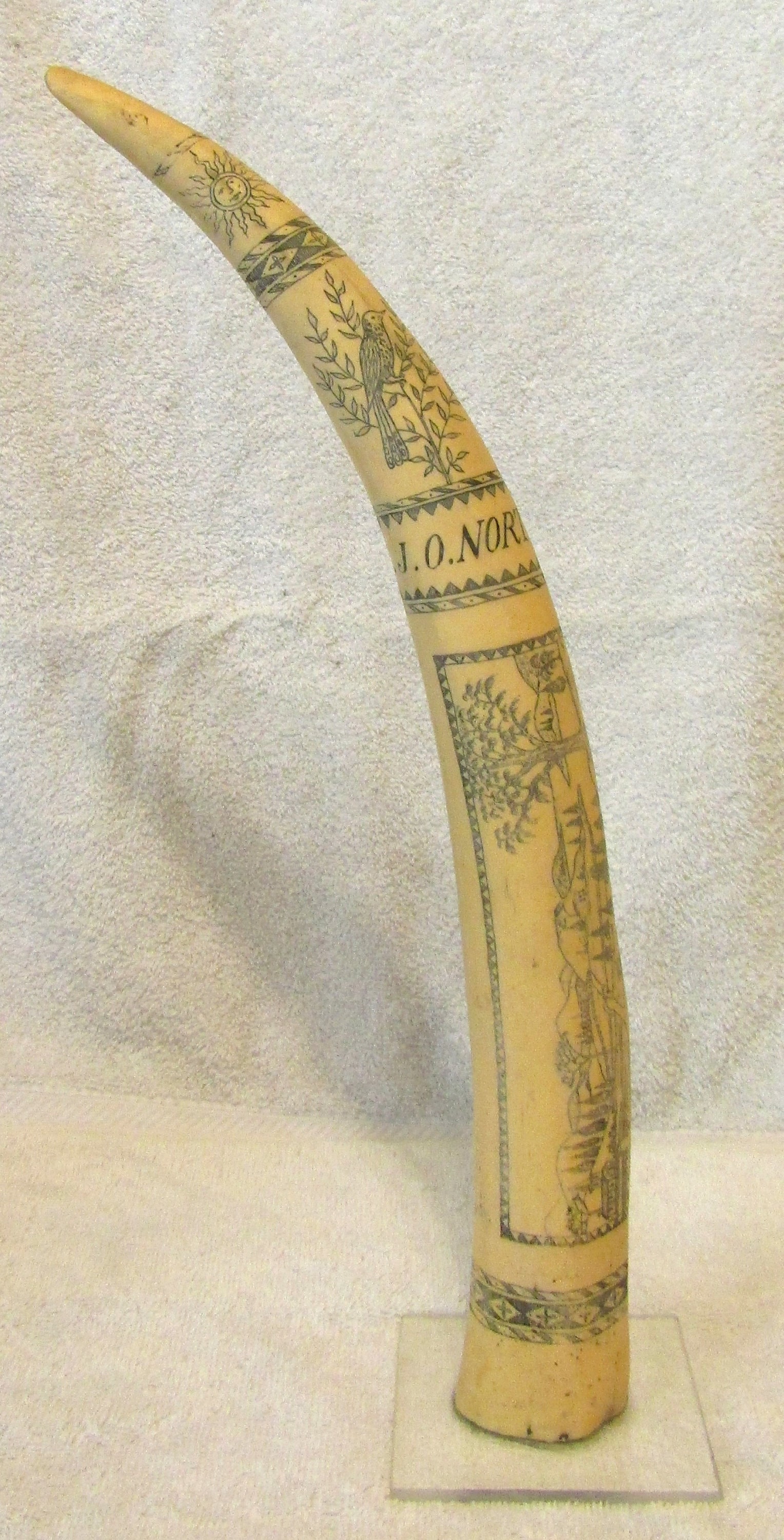 Hand Engraved Scrimshaw Faux Resin Walrus Tusk Captain J.O. - Etsy