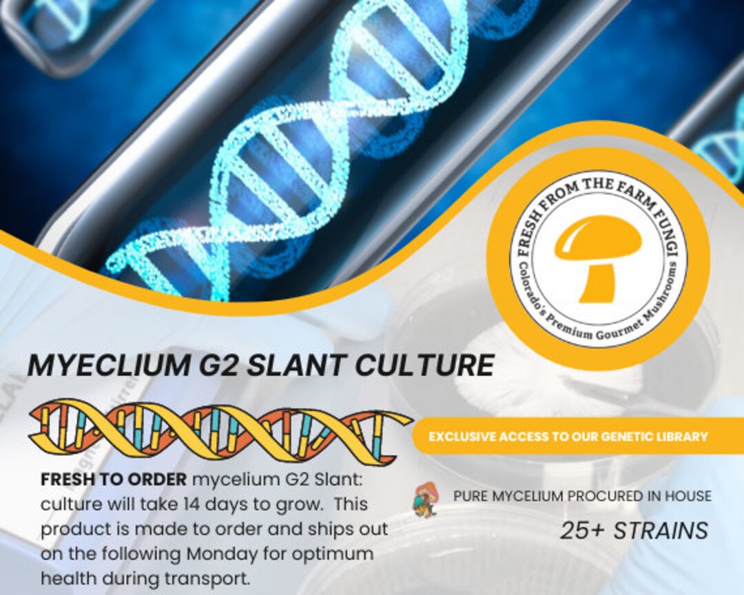 Mycelium Slant Culture FRESHLY MADE to ORDER - Etsy