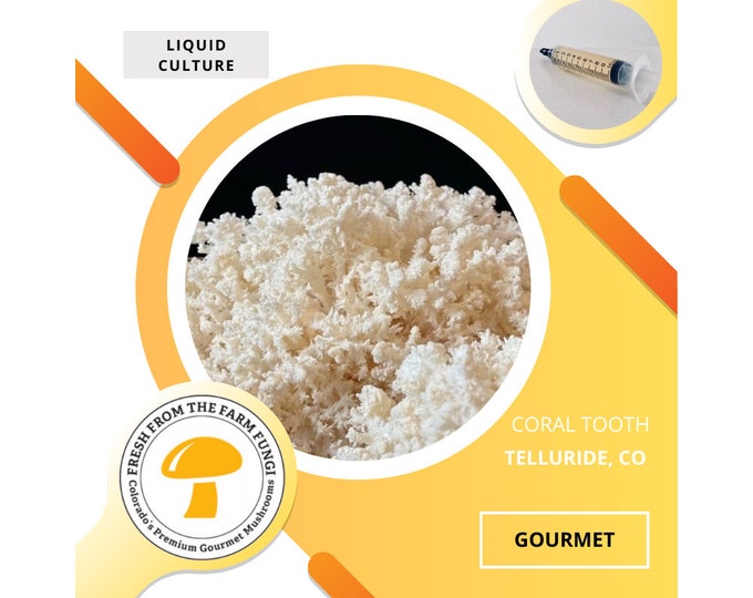 Coral Tooth Mushroom Liquid Culture (telluride, CO) - Etsy