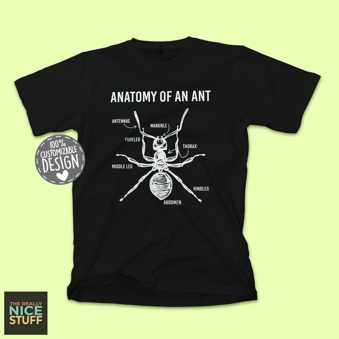 Anatomy of an Ant T-shirt, Educational Insect Shirt, Entomology ...