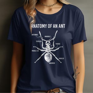 Anatomy of an Ant T-shirt, Educational Insect Shirt, Entomology ...