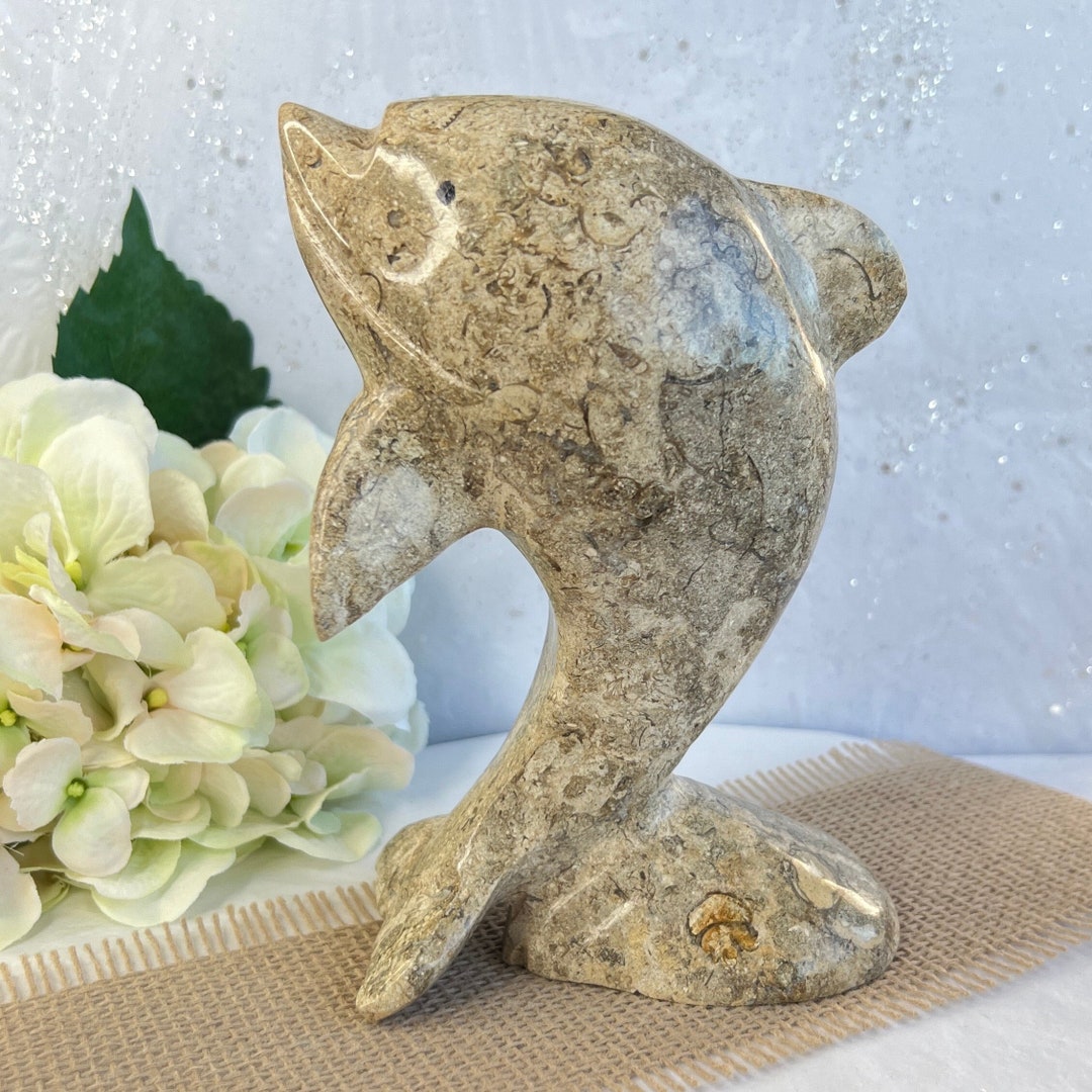 Poseidon the God of the Sea Fossil Stone Dolphin Carving 2 15.5x10cm 1 ...