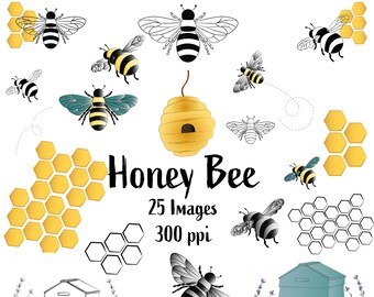 Bee Single Clipart clip art of a cute bee bumblebee honey | Etsy