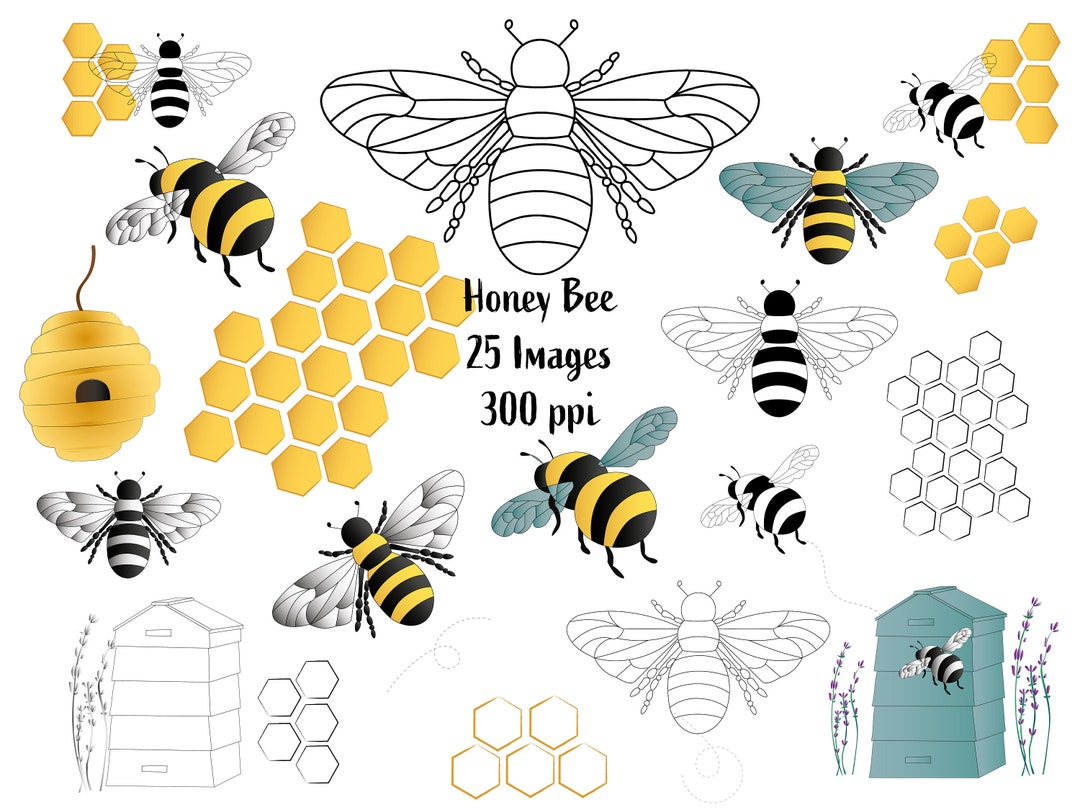 Bee Clip Art Image Files, Honey Bee and Black and White Bees, PNG ...