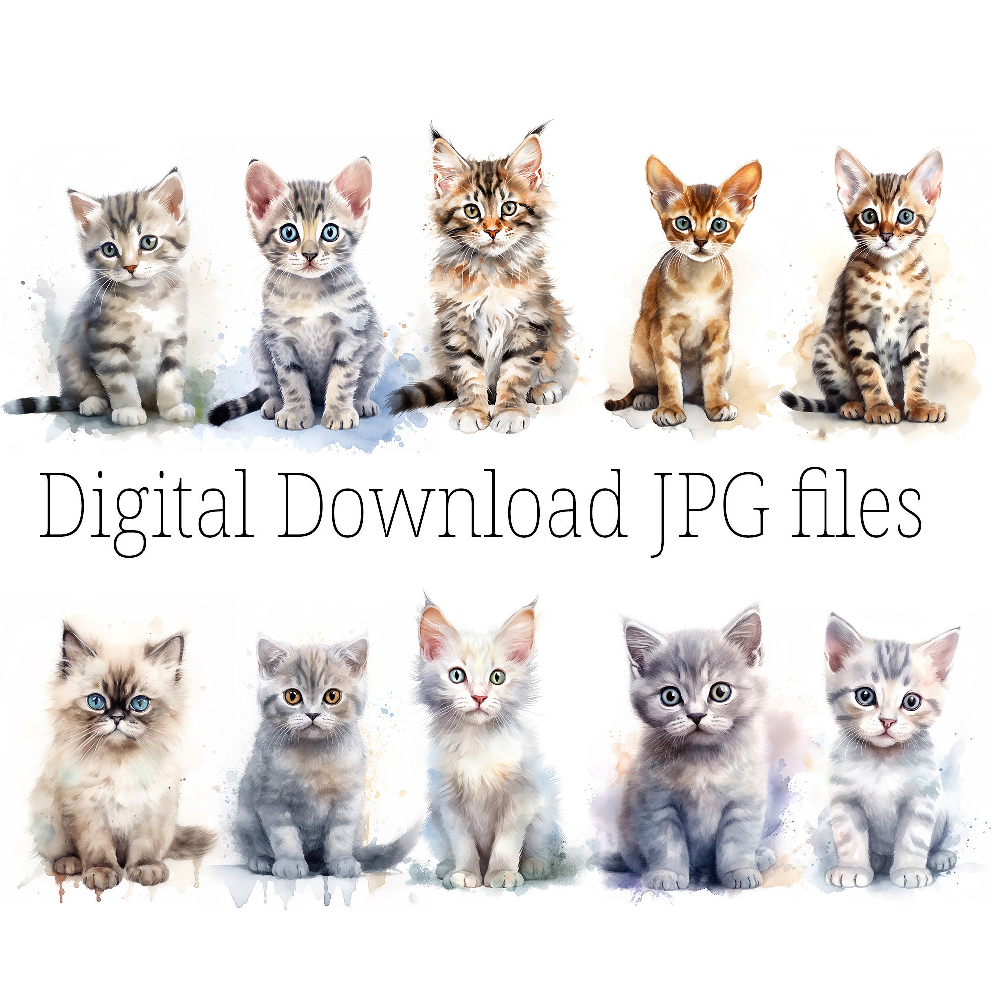 60 Kitten Watercolor Portrait Clipart 30 Cat Breeds High - Etsy