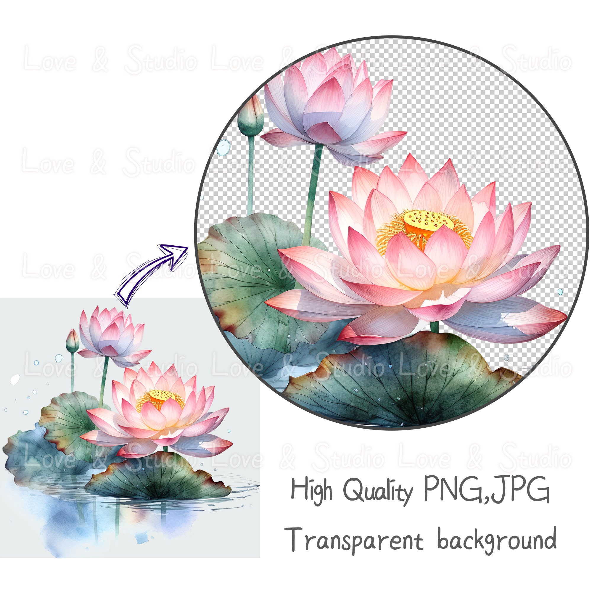 25 Lotus Watercolor Clipart. Digital Floral Watercolor Images ...