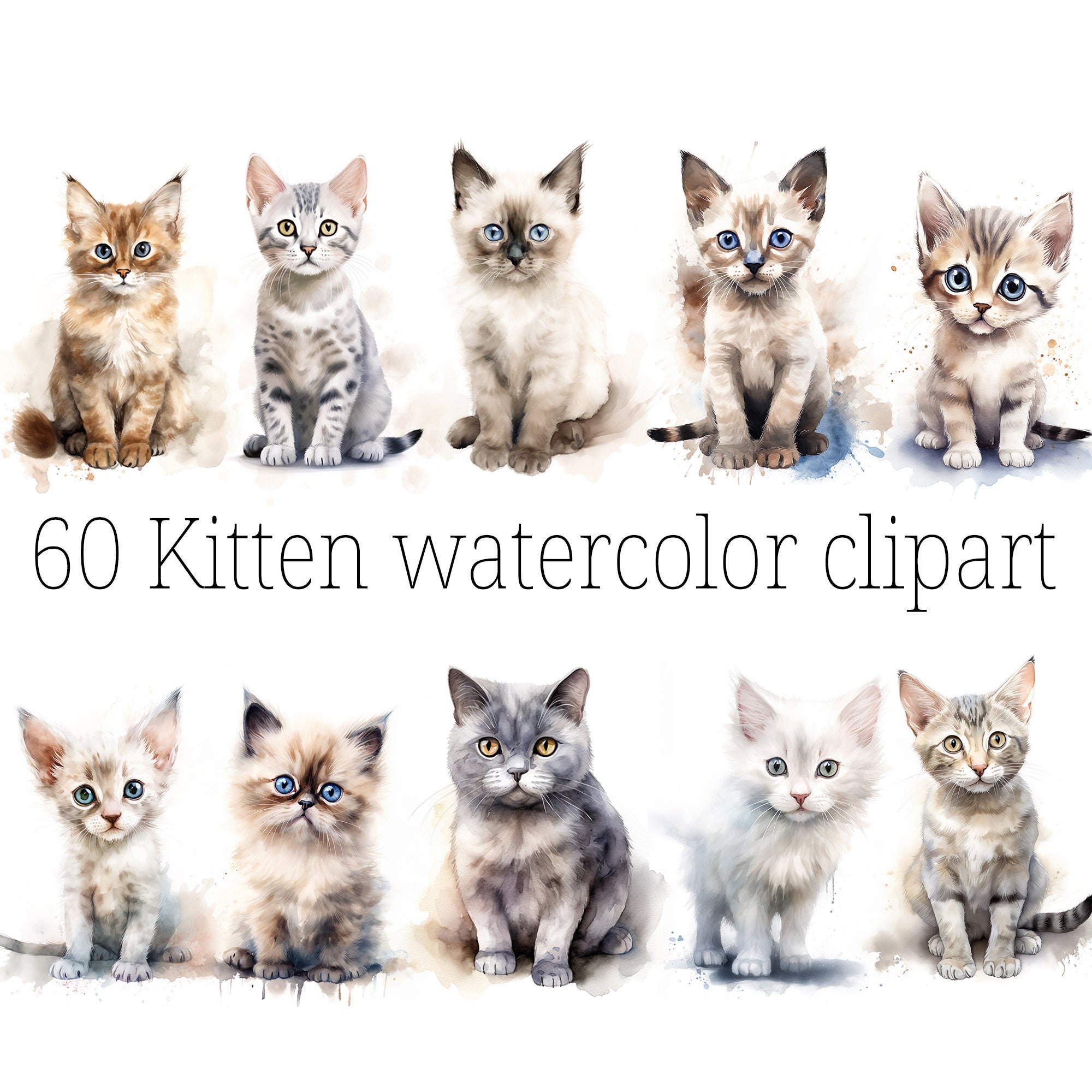 60 Kitten Watercolor Portrait Clipart 30 Cat Breeds High - Etsy