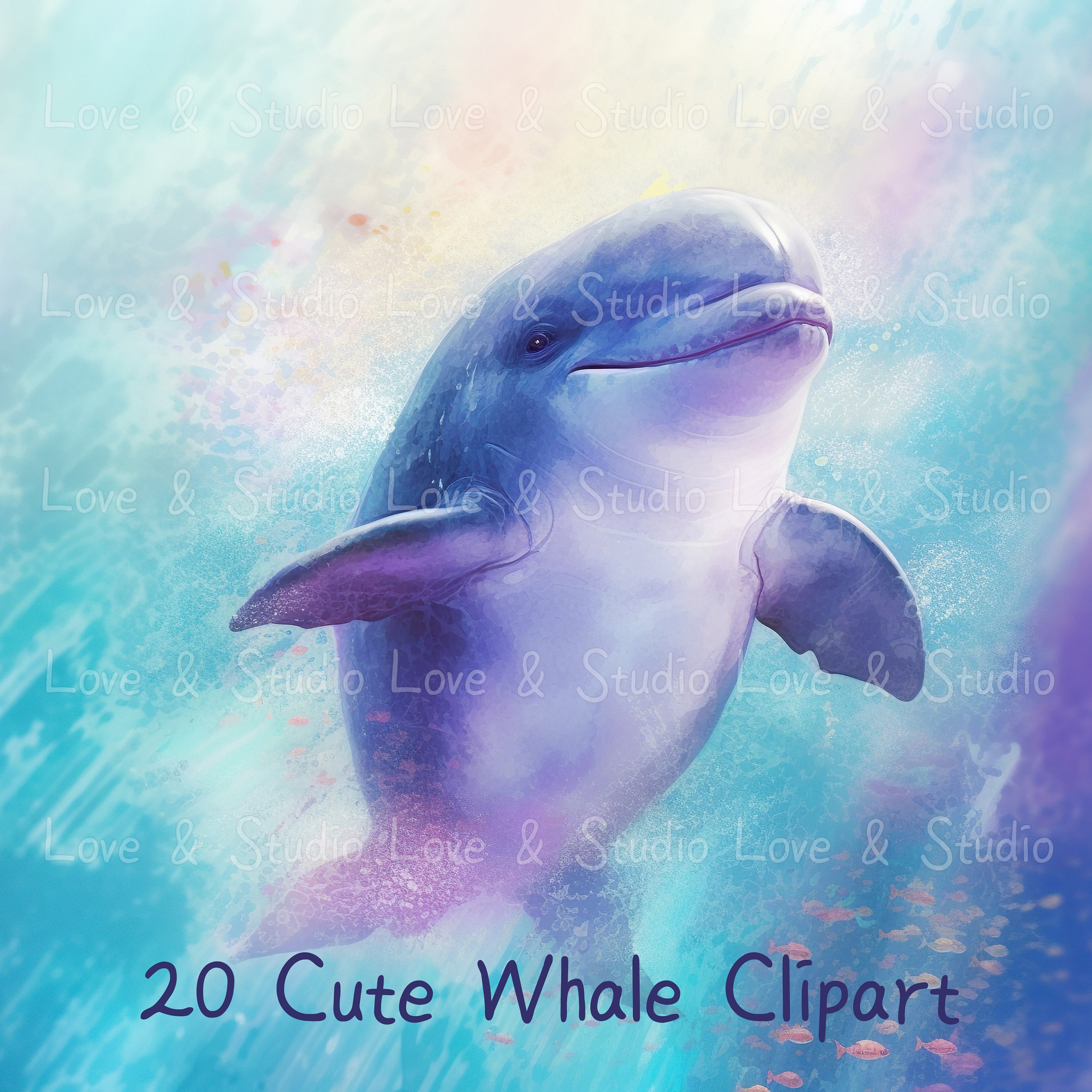 20 Cute Whale Watercolor Clipart, Digital Illustration, High Quality ...