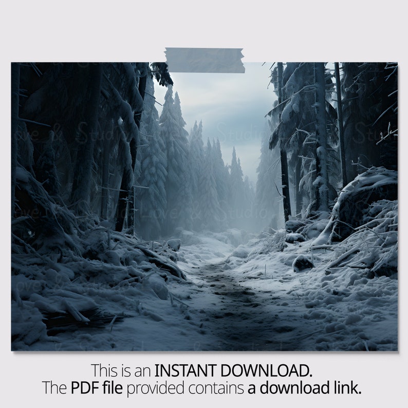 25 A Mesmerizing Snowstorm Forest Digital Paper, Fantasy Background ...