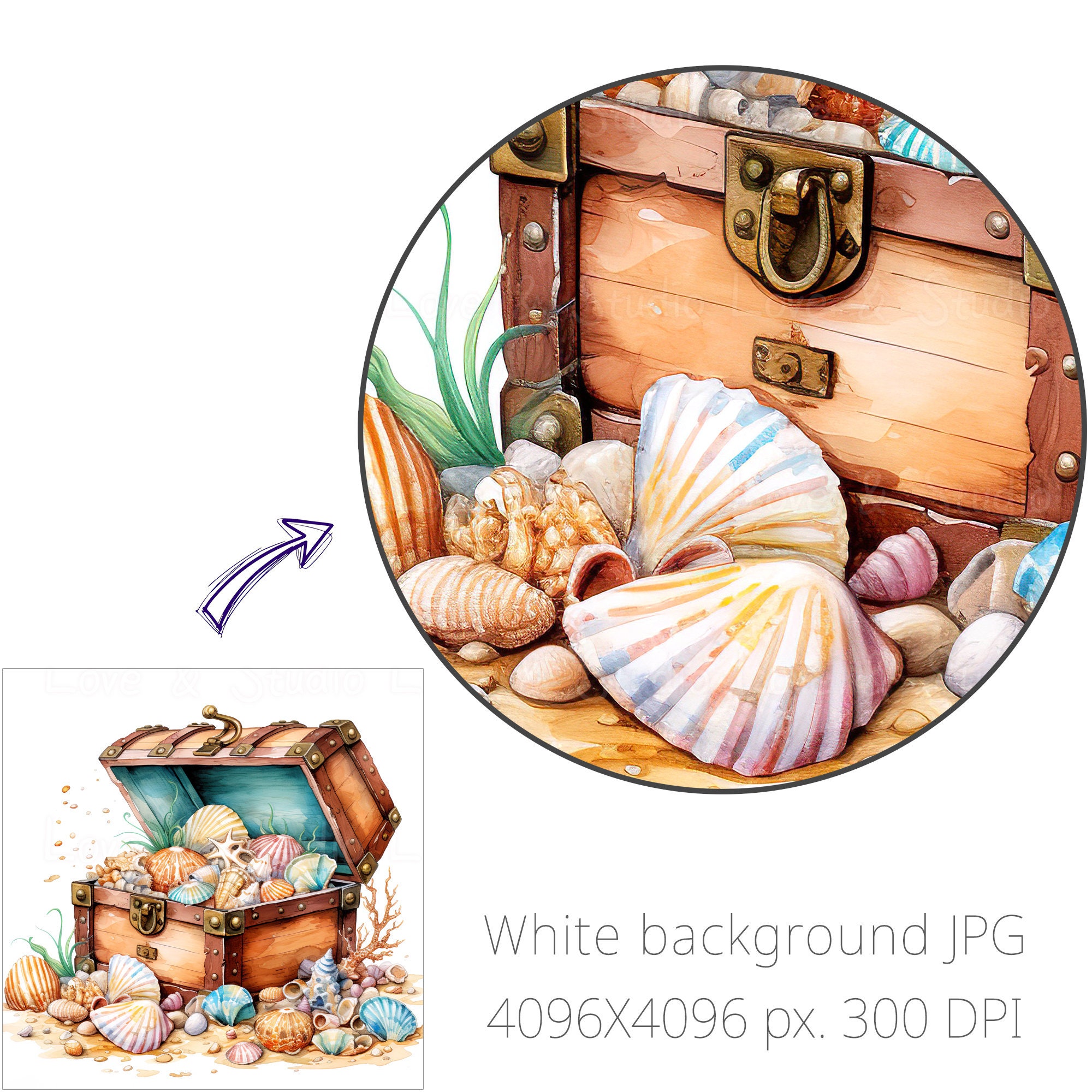 25 Seashells With Treasure Chest Clipart, Ocean Watercolor Printable ...