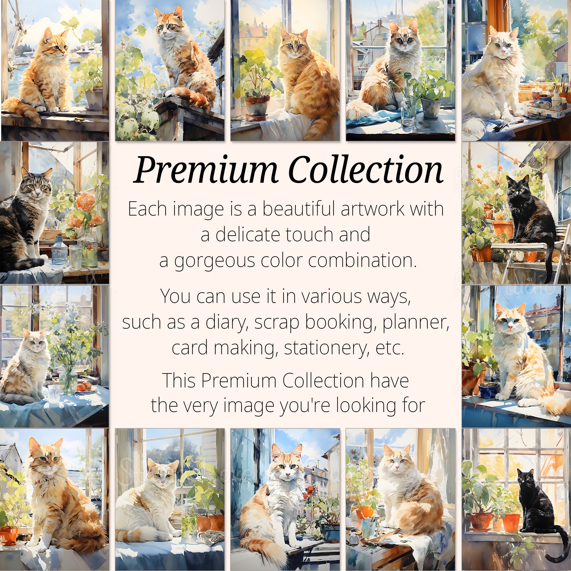 25 Watercolor Fat Cat by Sunny Window Clipart Happy Cat - Etsy