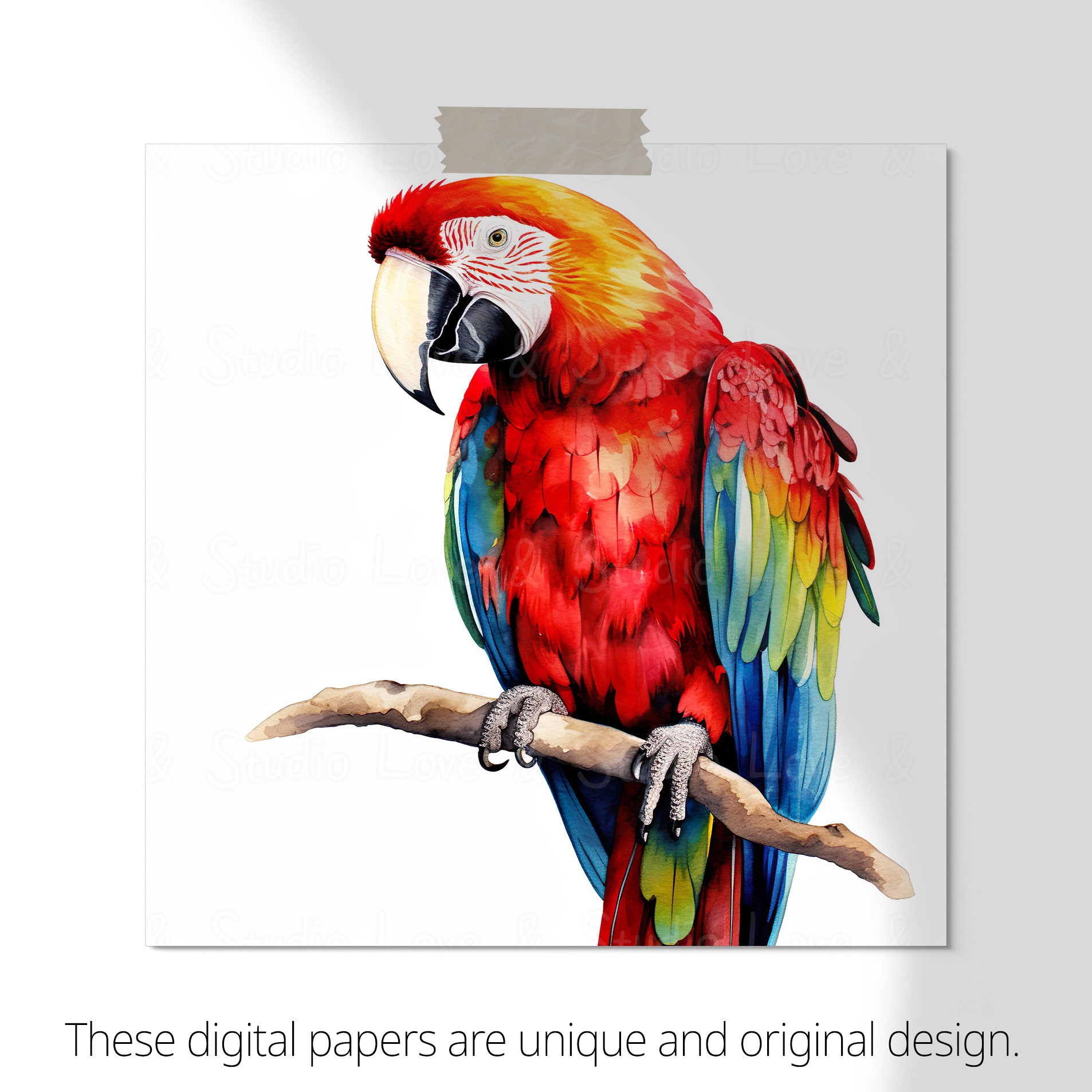 25 Scarlet Macaw Watercolor Clipart, Printable Bird Bundle Pack, High ...