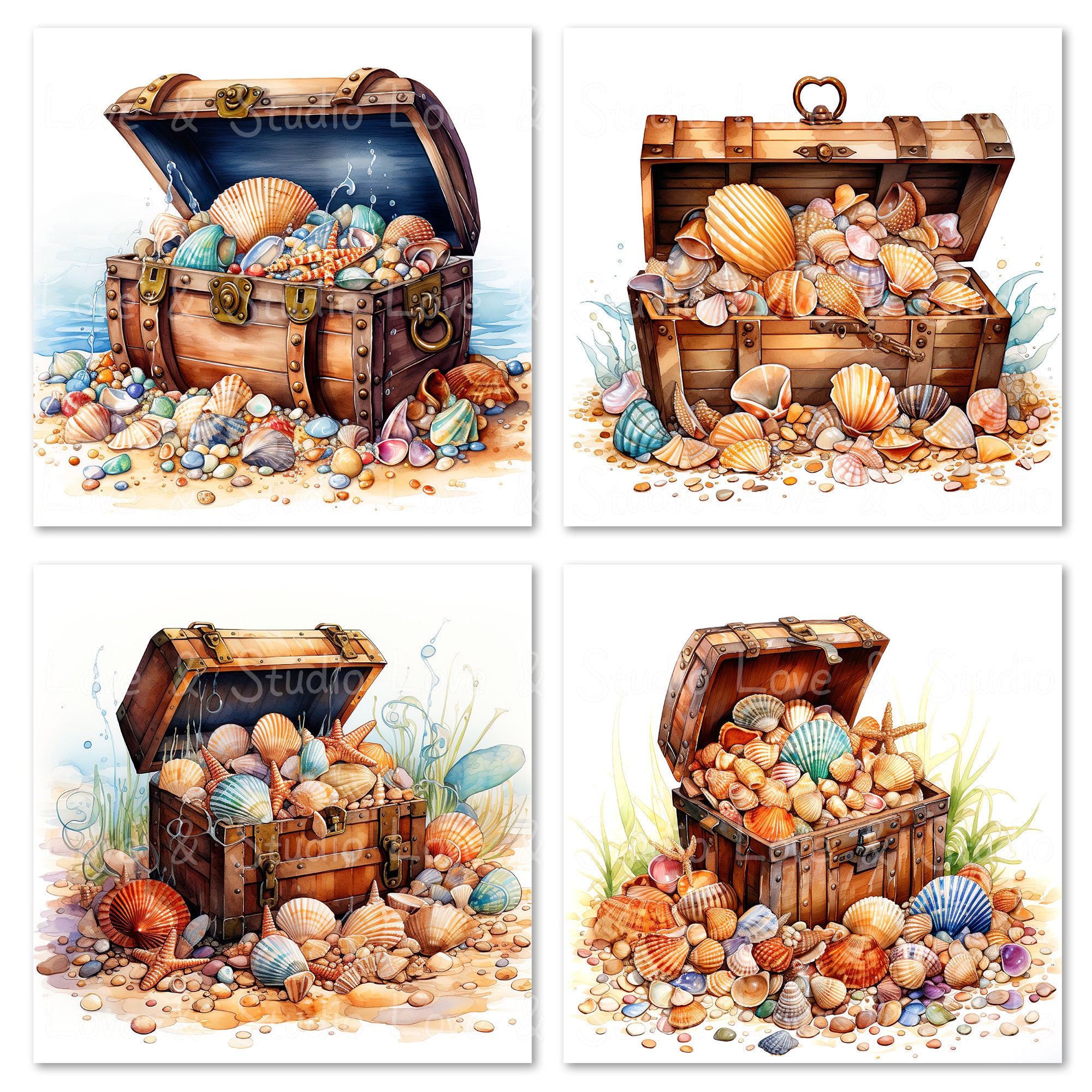 25 Seashells With Treasure Chest Clipart, Ocean Watercolor Printable ...