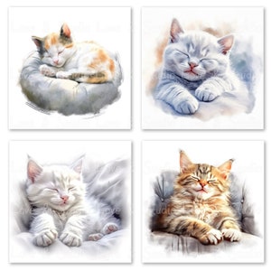 20 Sleeping Kitten Clipart, Cute Baby Cat Illustration, Digital ...