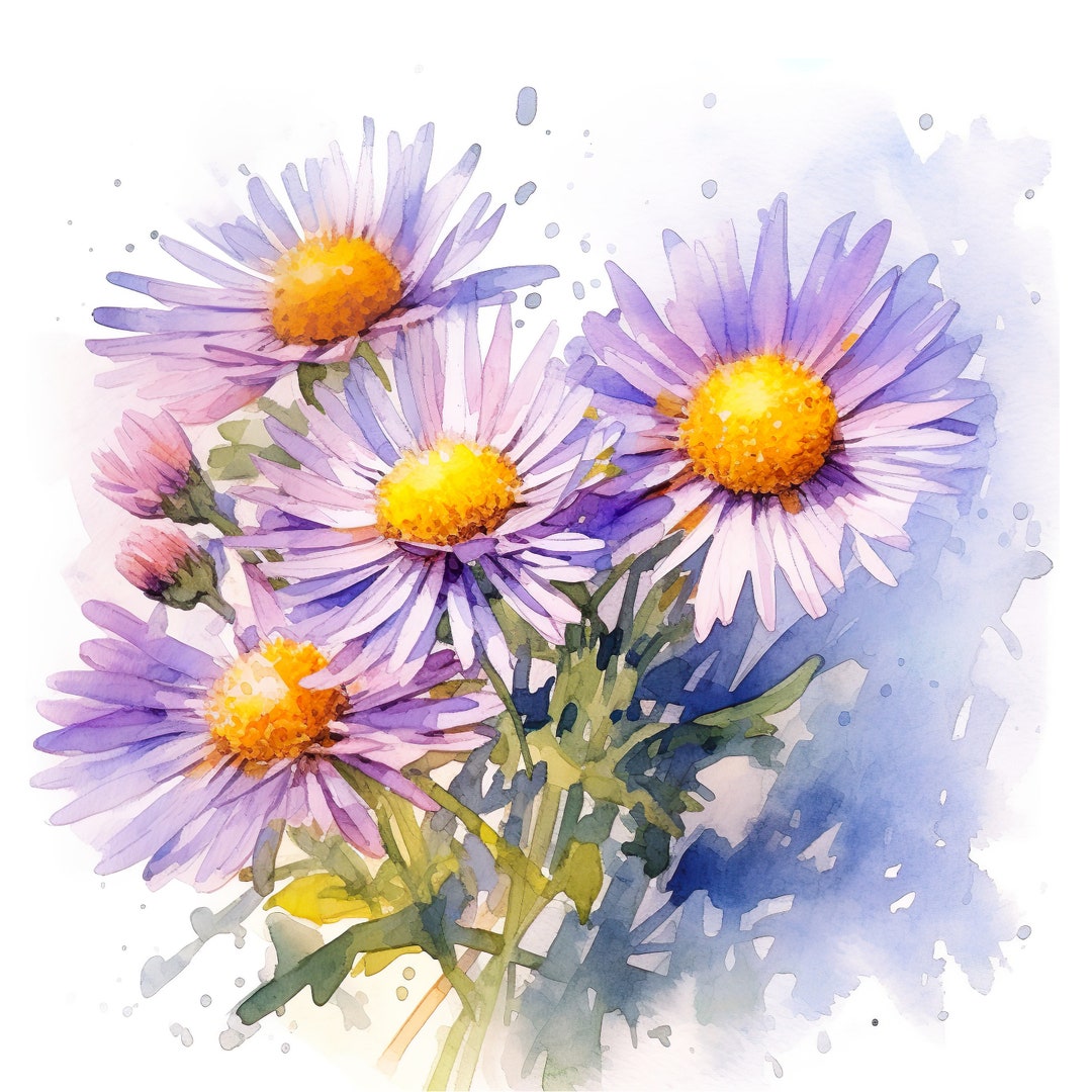 25 Pastel Daisy Clipart. Digital Floral Watercolor Illustration. Spring ...