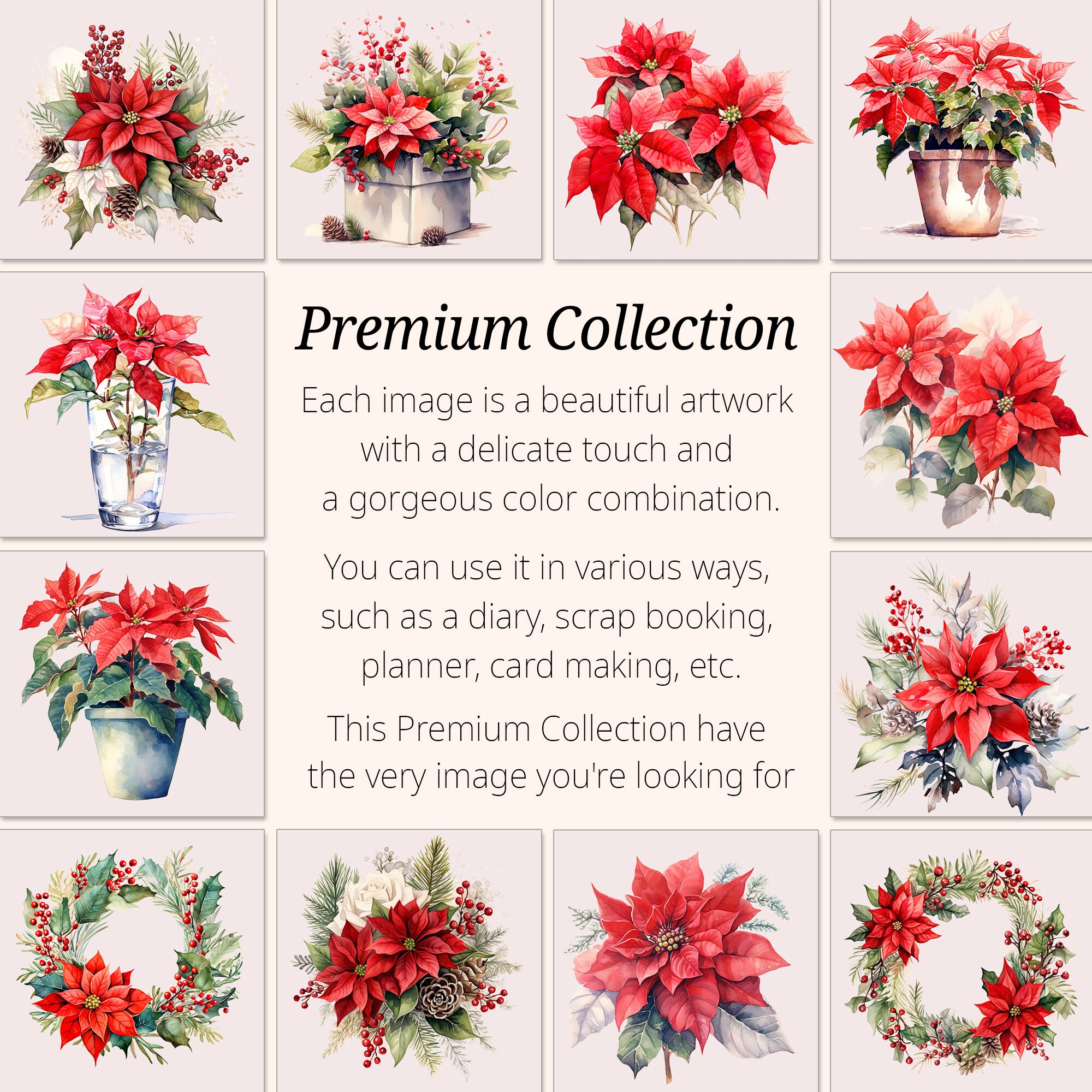 25 Watercolor Poinsettia Clipart, Christmas Party Digital Supply ...