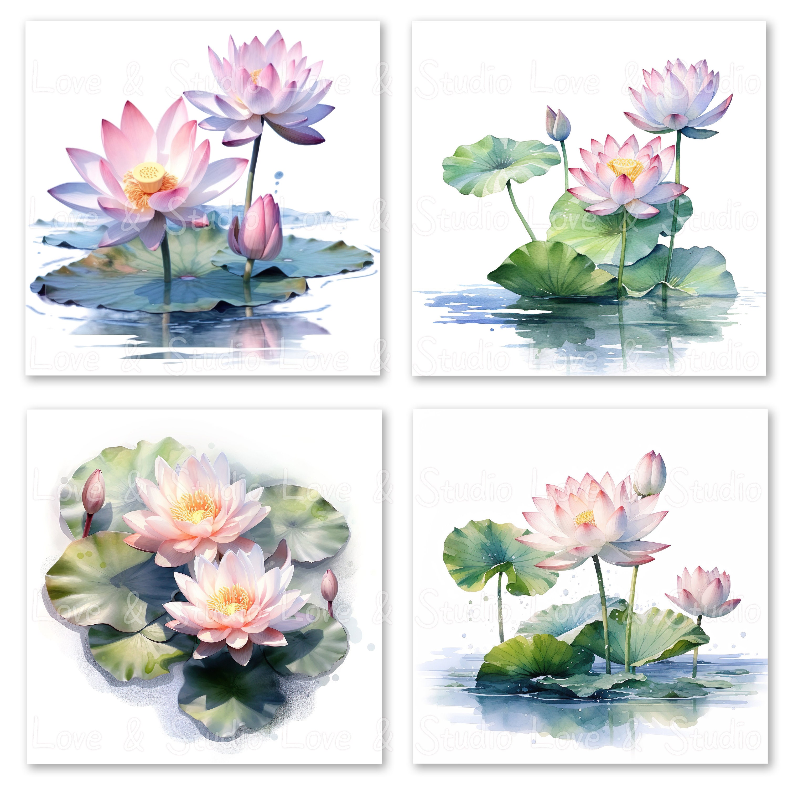 25 Lotus Watercolor Clipart. Digital Floral Watercolor Images ...