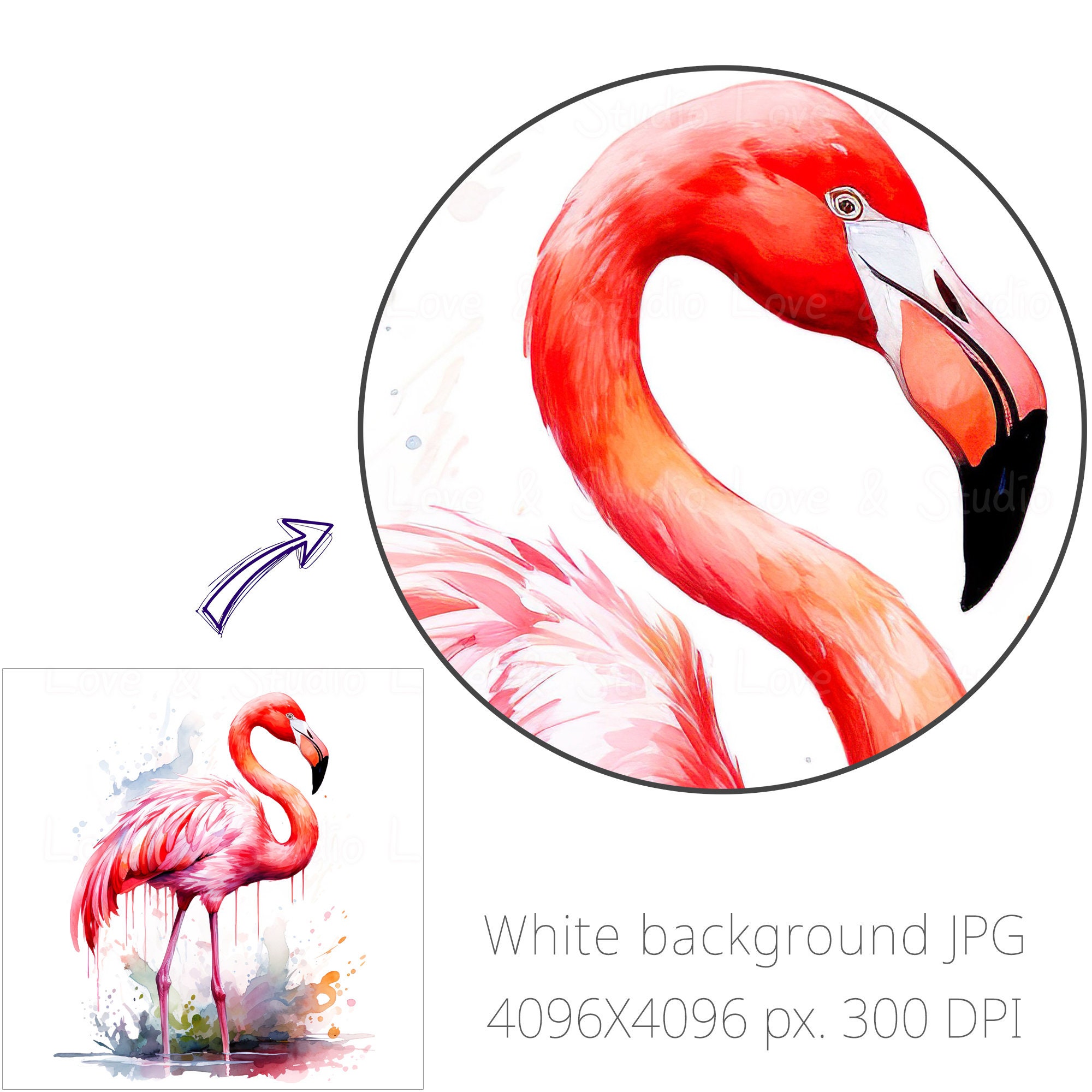 25 Pink Flamingo Watercolor Clipart, Tropical Birds With Flowers, High ...