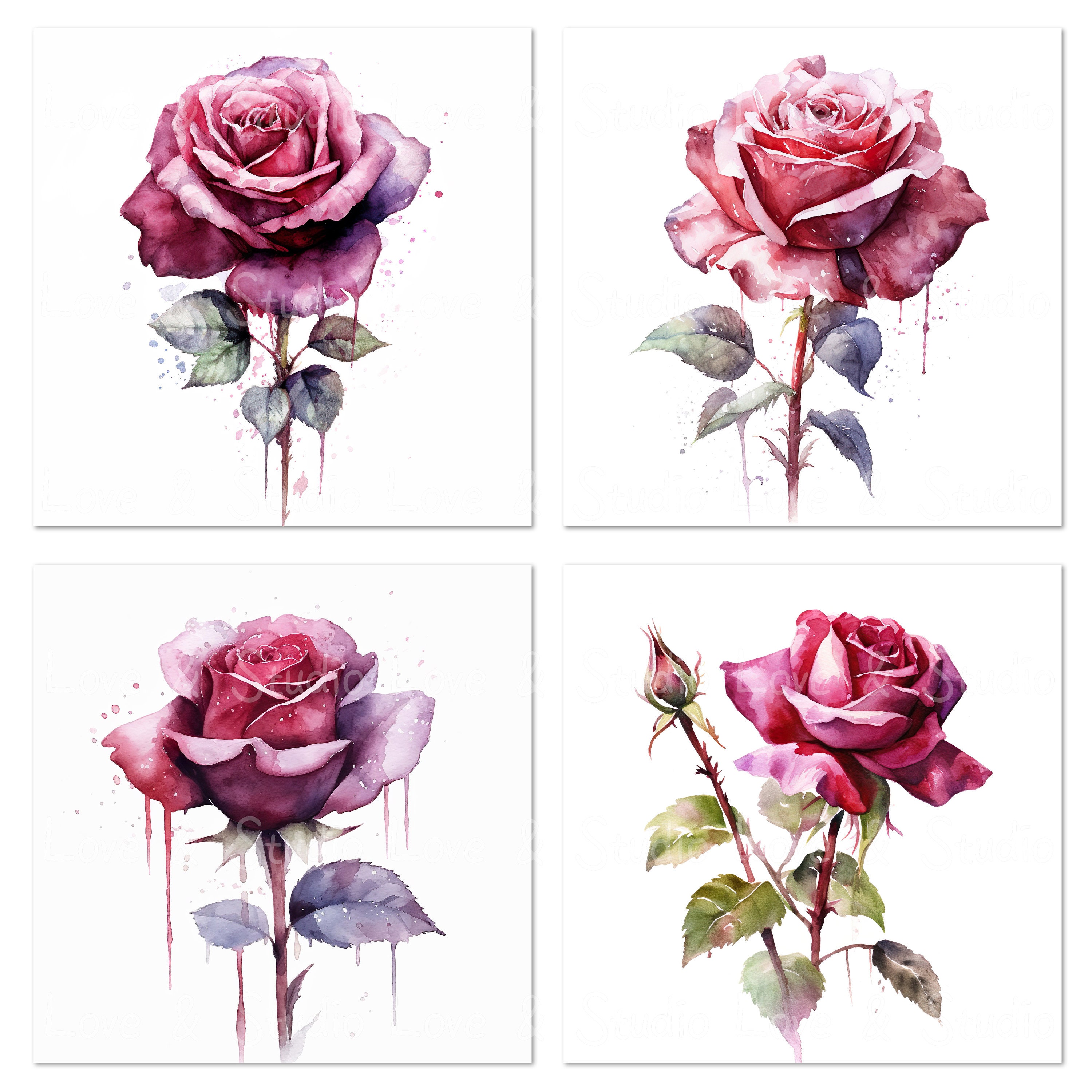 25 Burgundy Rose Clipart. Digital Floral Watercolor Illustration ...