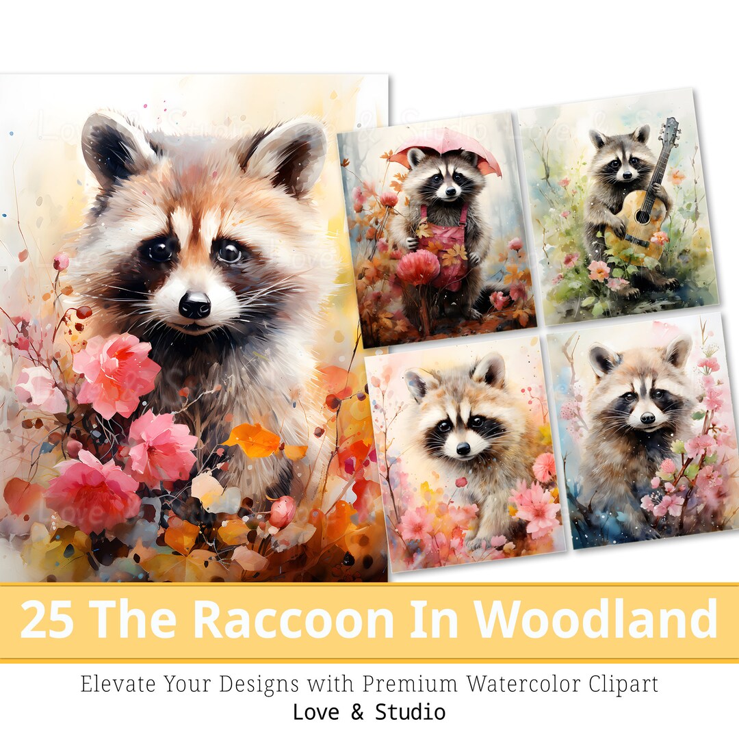 25 the Raccoon in Woodland Clipart, Watercolor Adorable Animal in the ...
