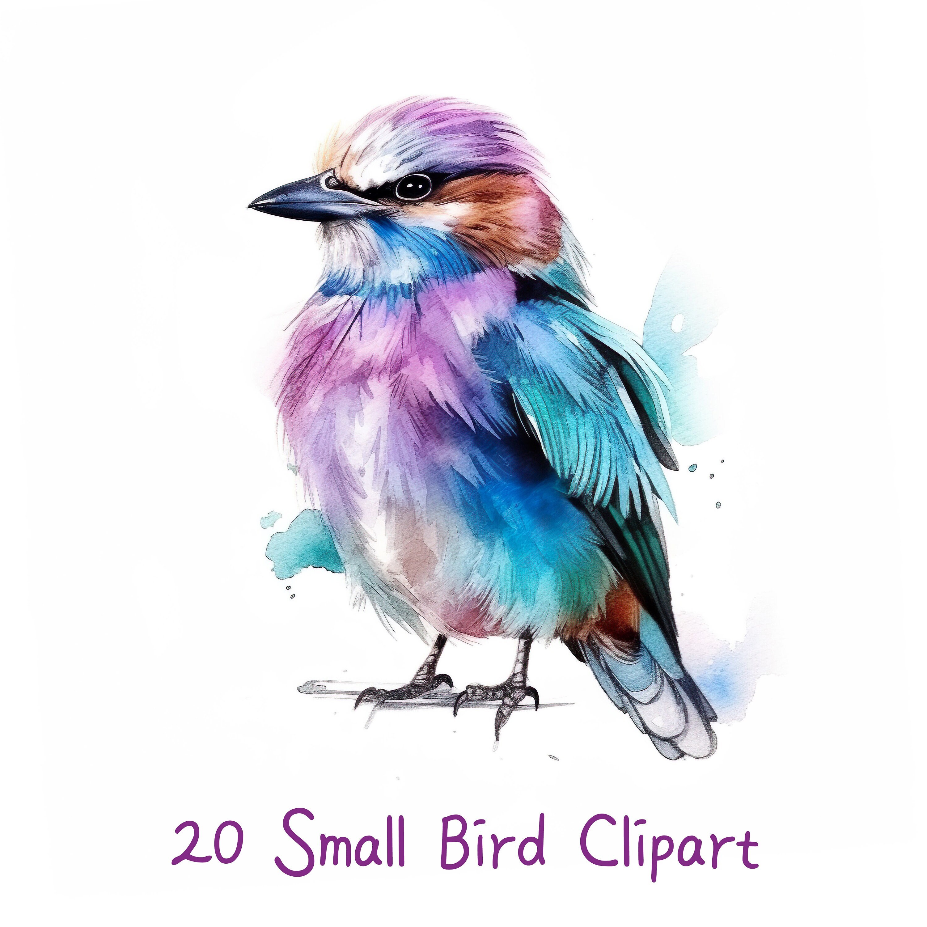 20 Small Bird Watercolor Clipart, Variety of Little Birds Illustration ...