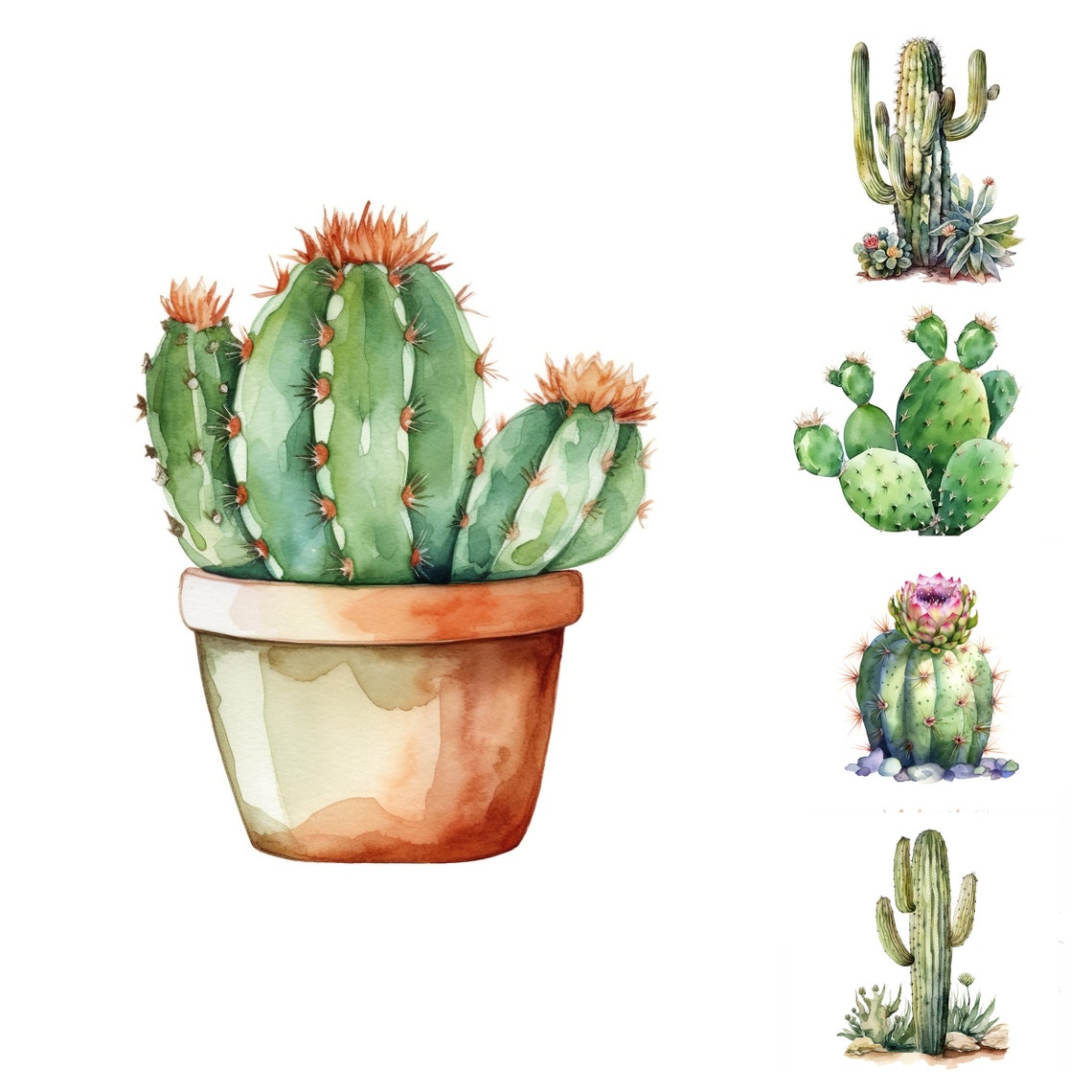 25 Watercolor Catus Clipart. High Quality Jpgs, Digital Download, Free ...