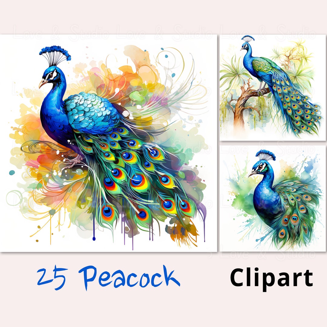 25 Peacock Watercolor Clipart, Printable Bird Bundle Pack, High Quality ...