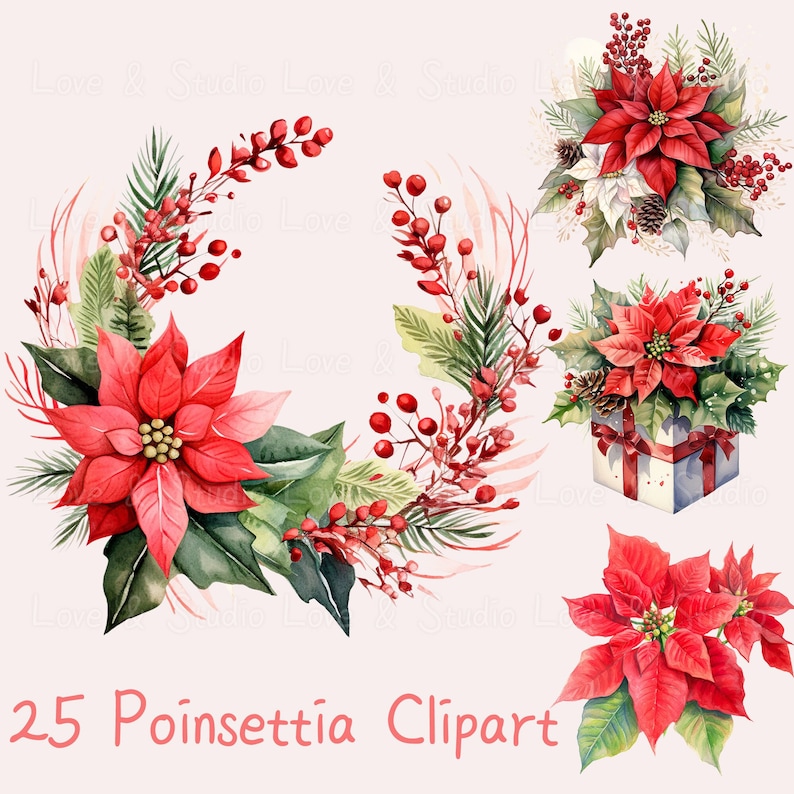 25 Watercolor Poinsettia Clipart, Christmas Party Digital Supply ...