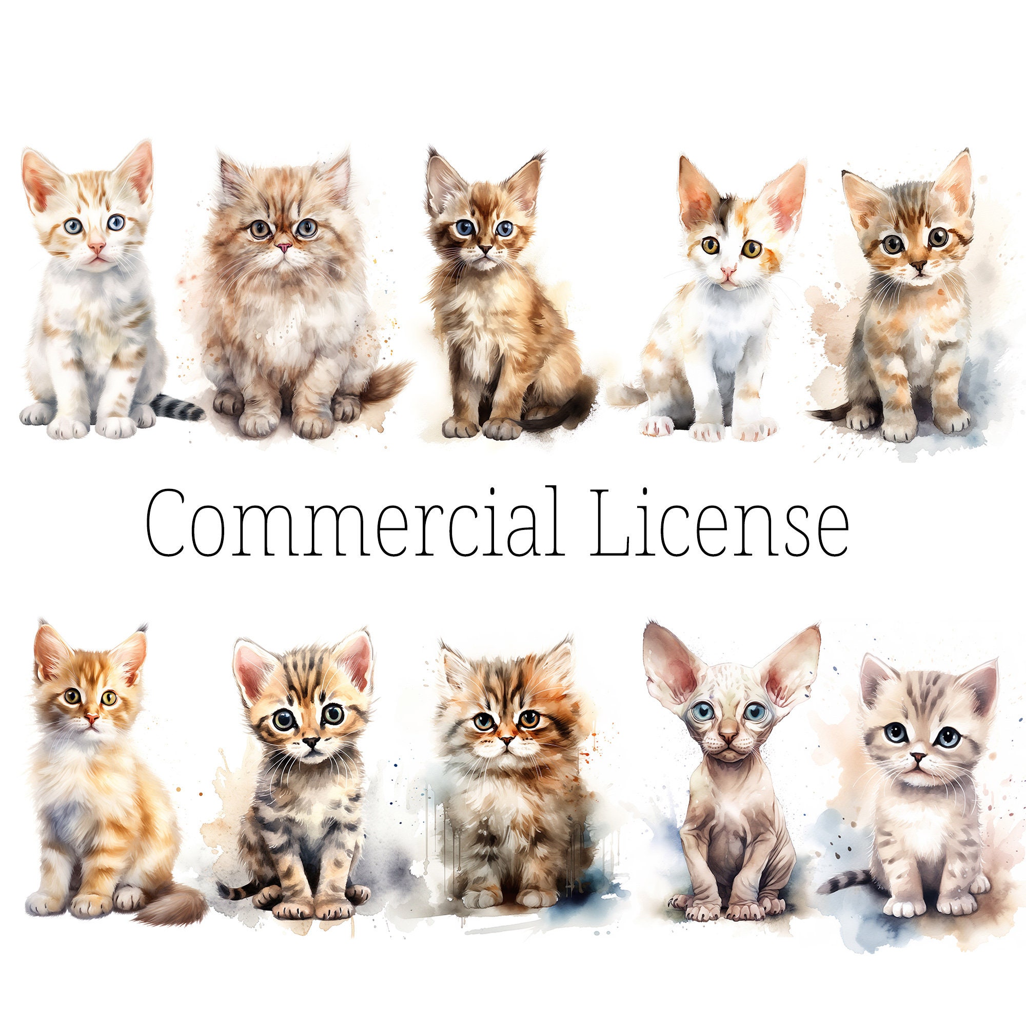 60 Kitten Watercolor Portrait Clipart 30 Cat Breeds High - Etsy