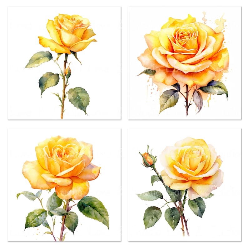 25 Yellow Rose Clipart. Digital Floral Watercolor Illustration. Elegant ...