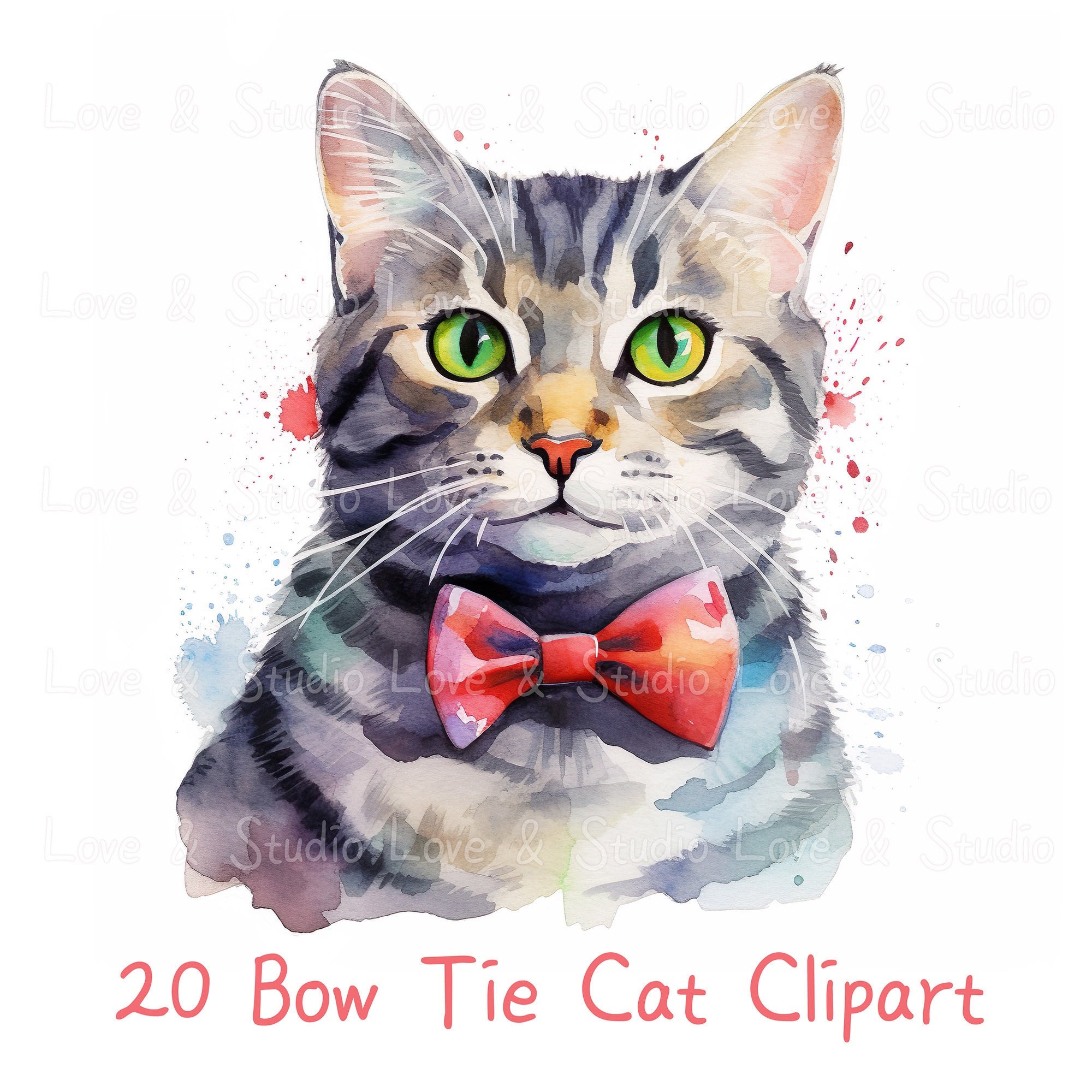 Dawing Cat Bow Tie