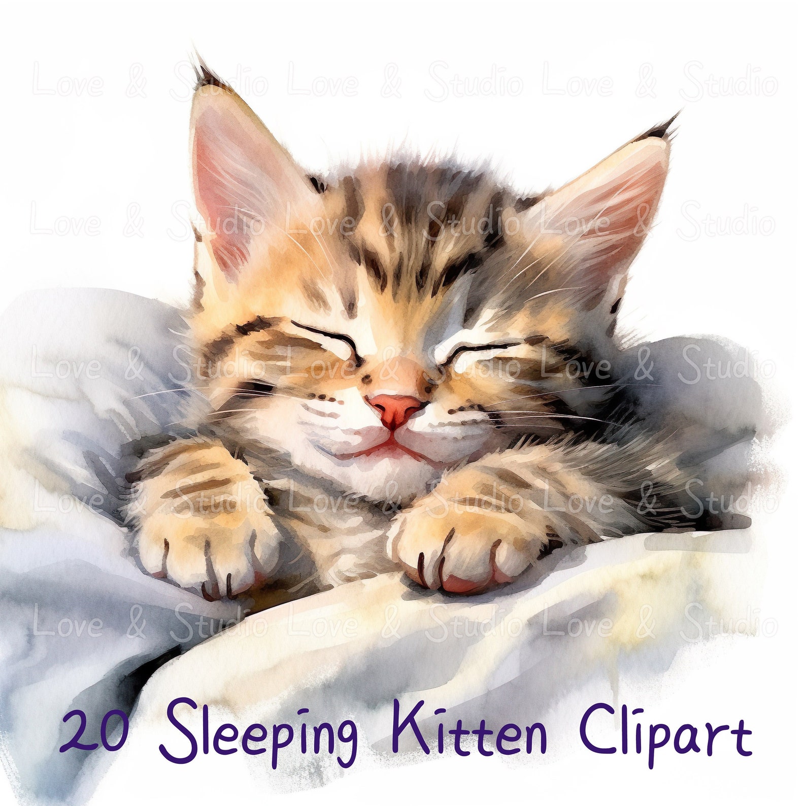 20 Sleeping Kitten Clipart, Cute Baby Cat Illustration, Digital ...