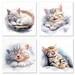 20 Sleeping Kitten Clipart, Cute Baby Cat Illustration, Digital ...