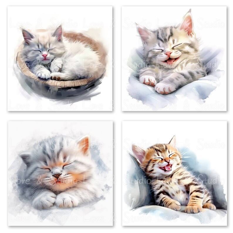 20 Sleeping Kitten Clipart, Cute Baby Cat Illustration, Digital ...