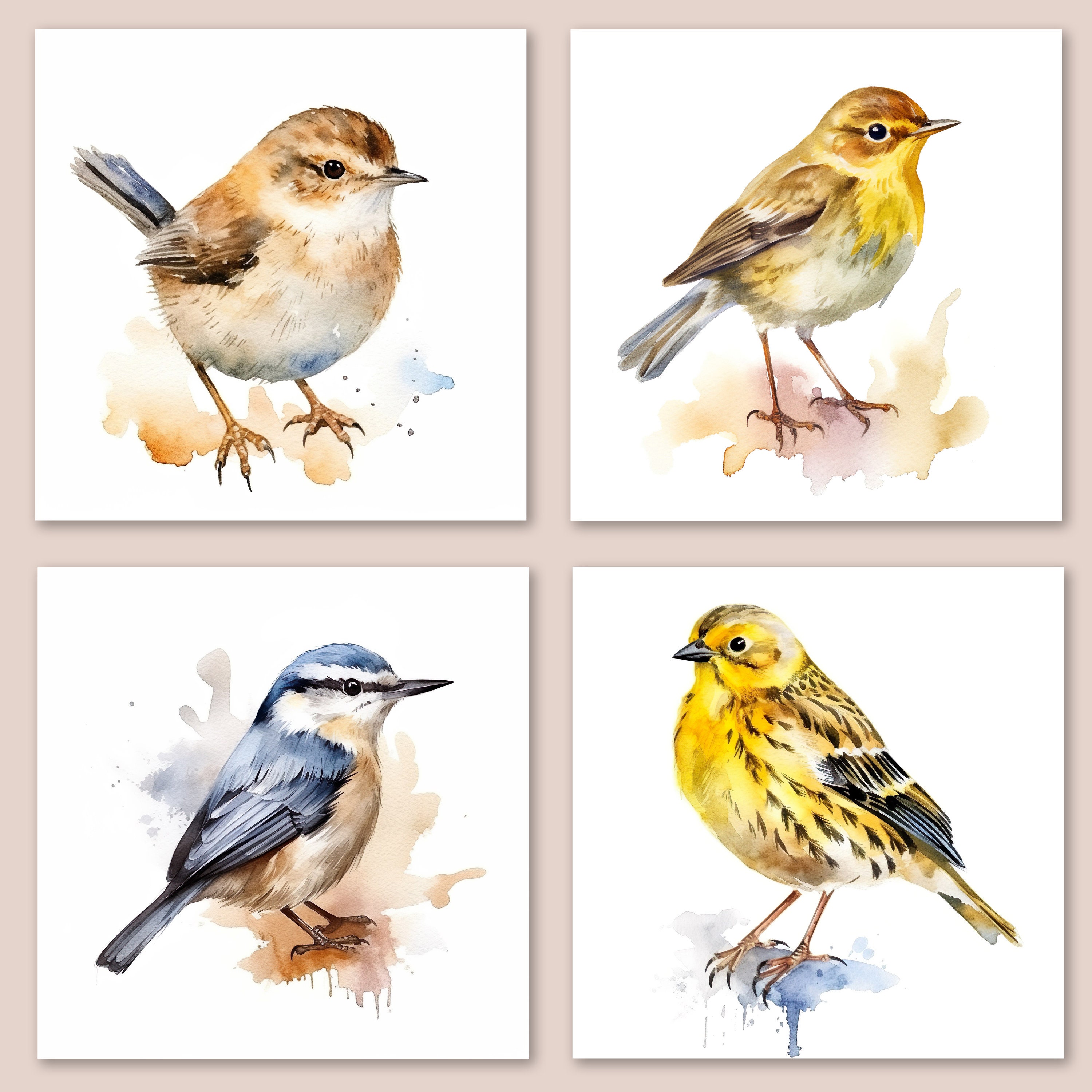 20 Small Bird Watercolor Clipart, Variety of Little Birds Illustration ...