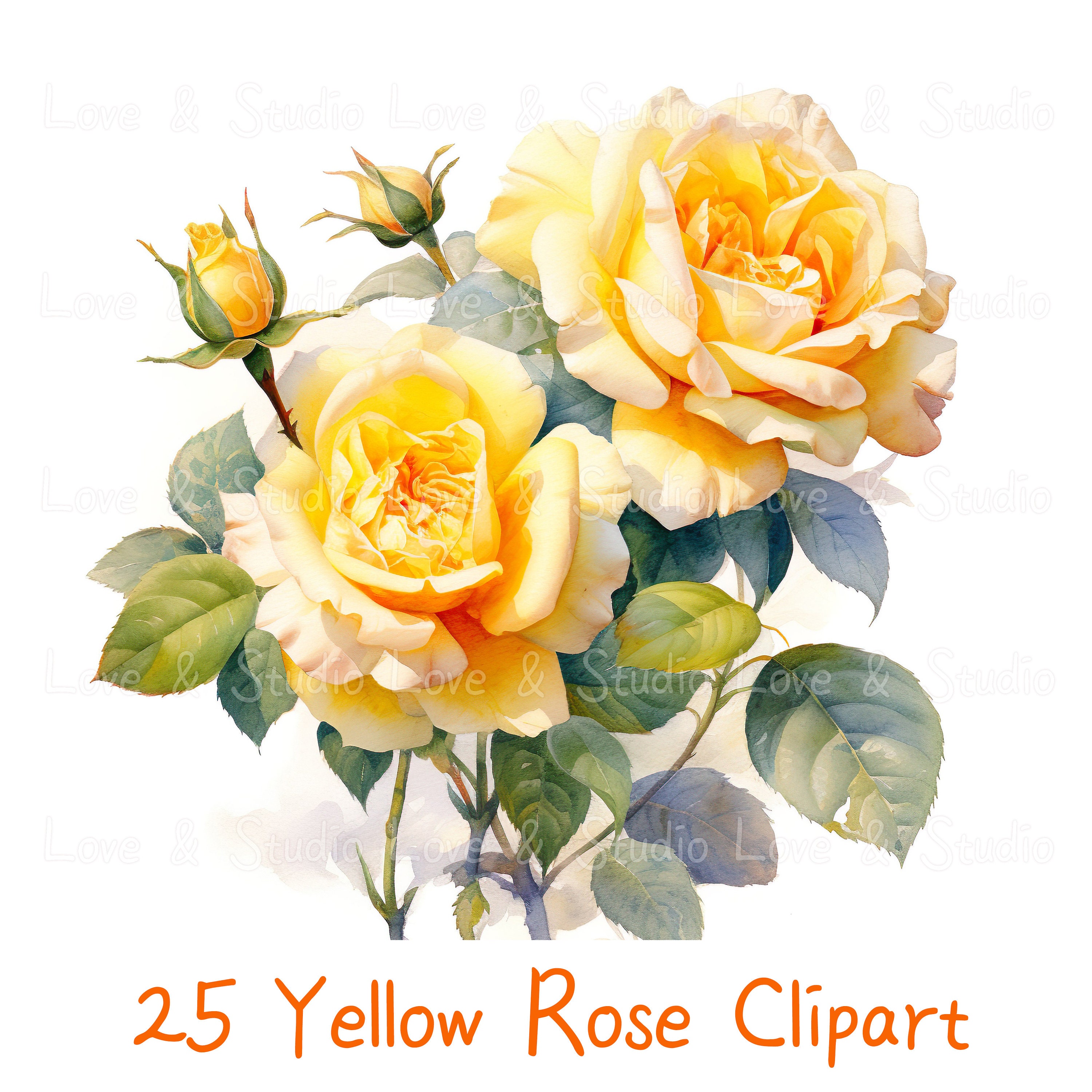 100 Rose Clipart Bundle. Digital Floral Watercolor Illustration ...