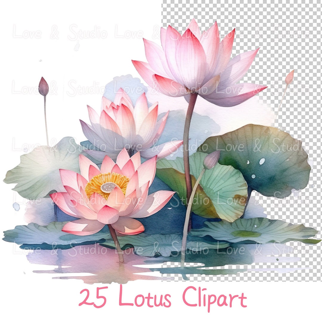25 Lotus Watercolor Clipart. Digital Floral Watercolor Images ...